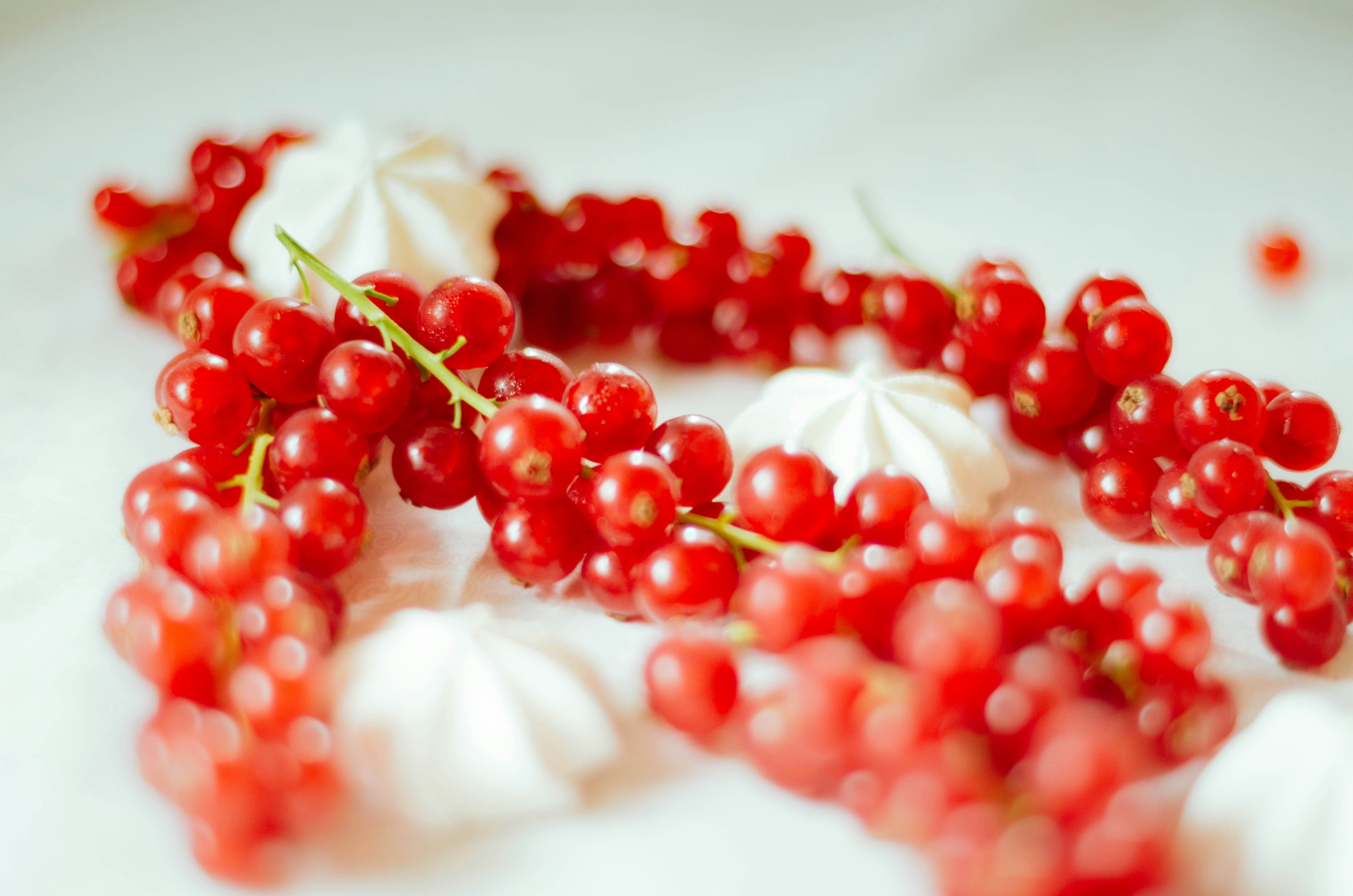 Crimson Currants on a Snow-White Stage