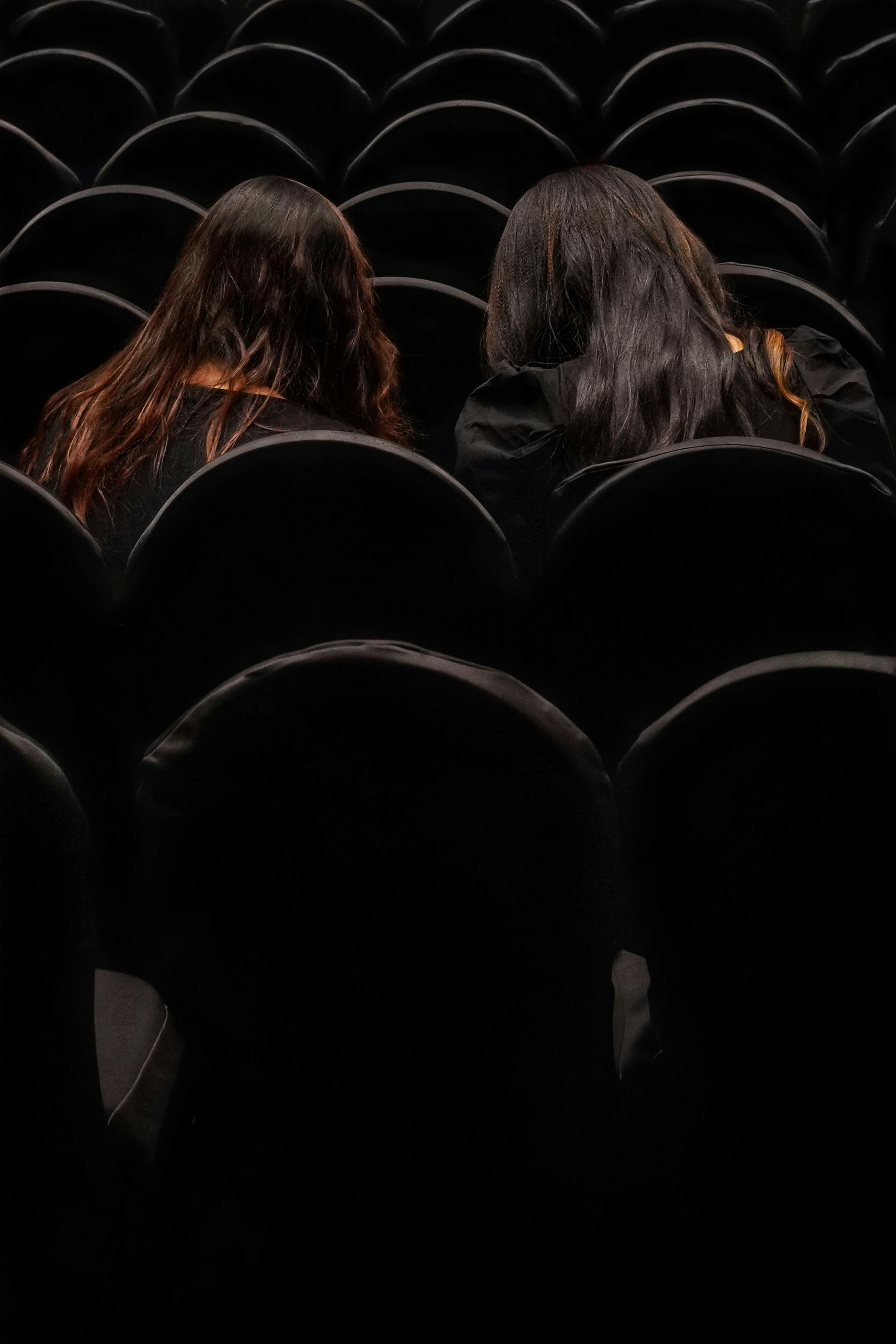 Back-Row Silhouettes in Velvet Darkness