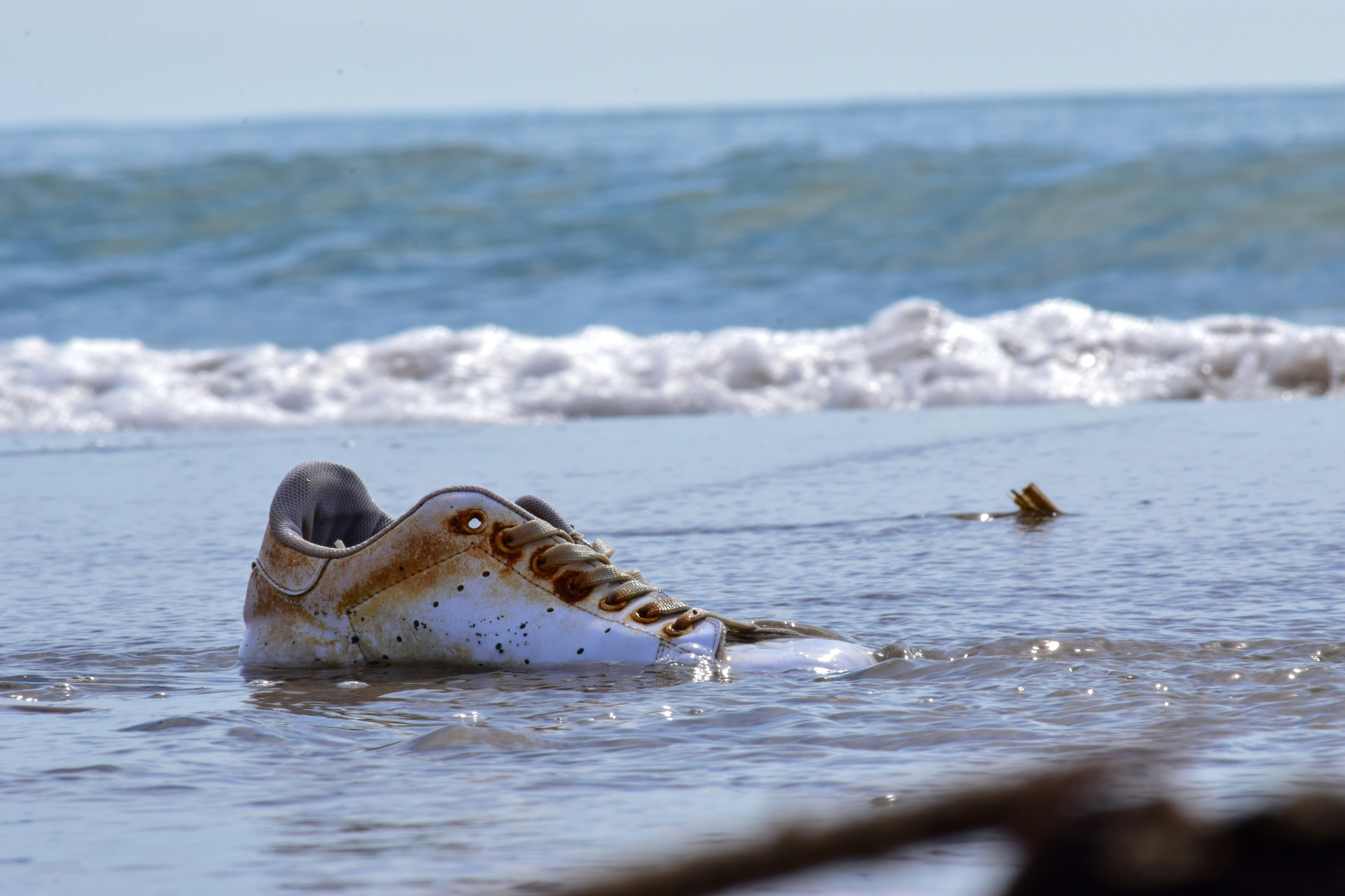 Sneaker Adrift on Shoreline Waves