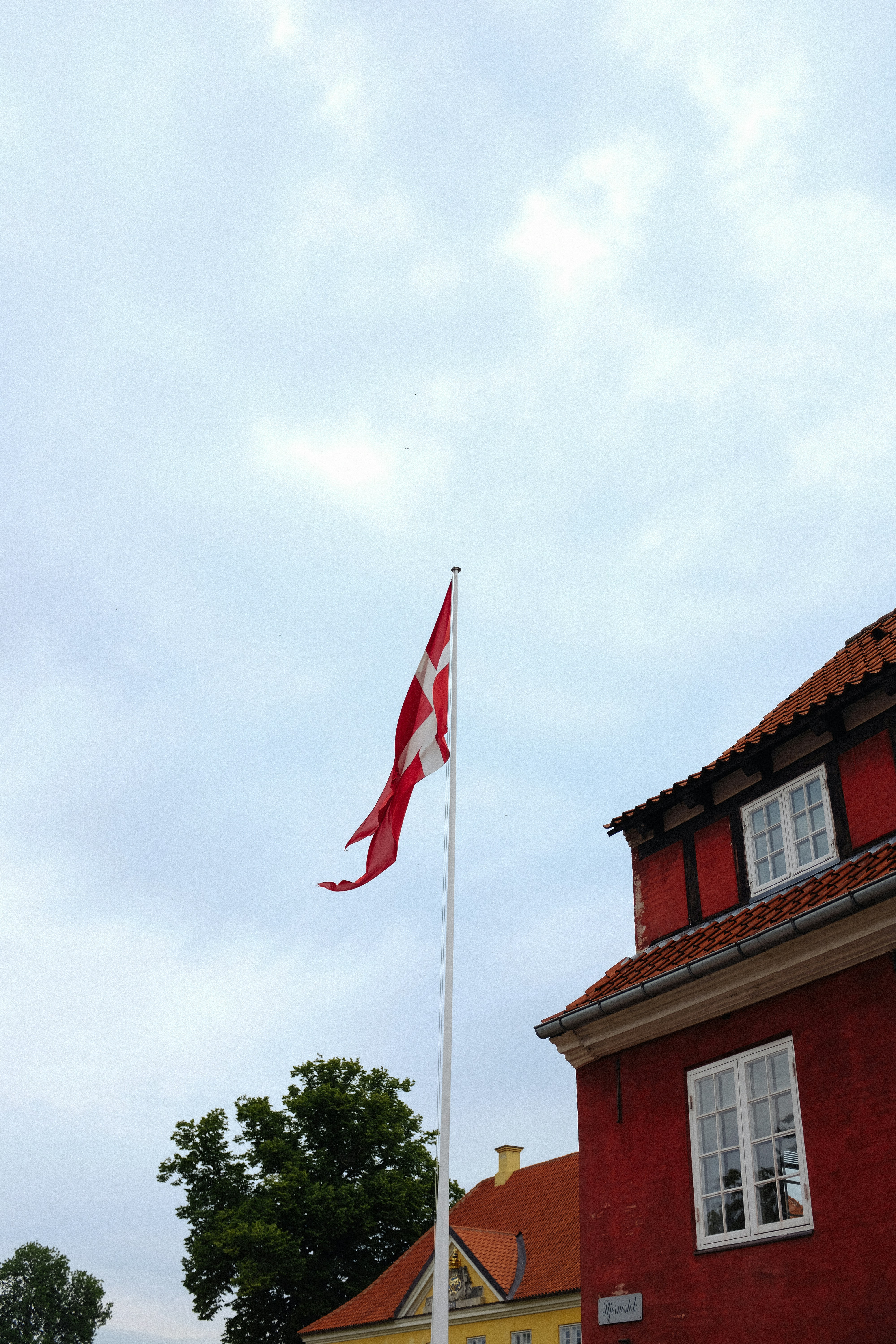 a flag on a pole