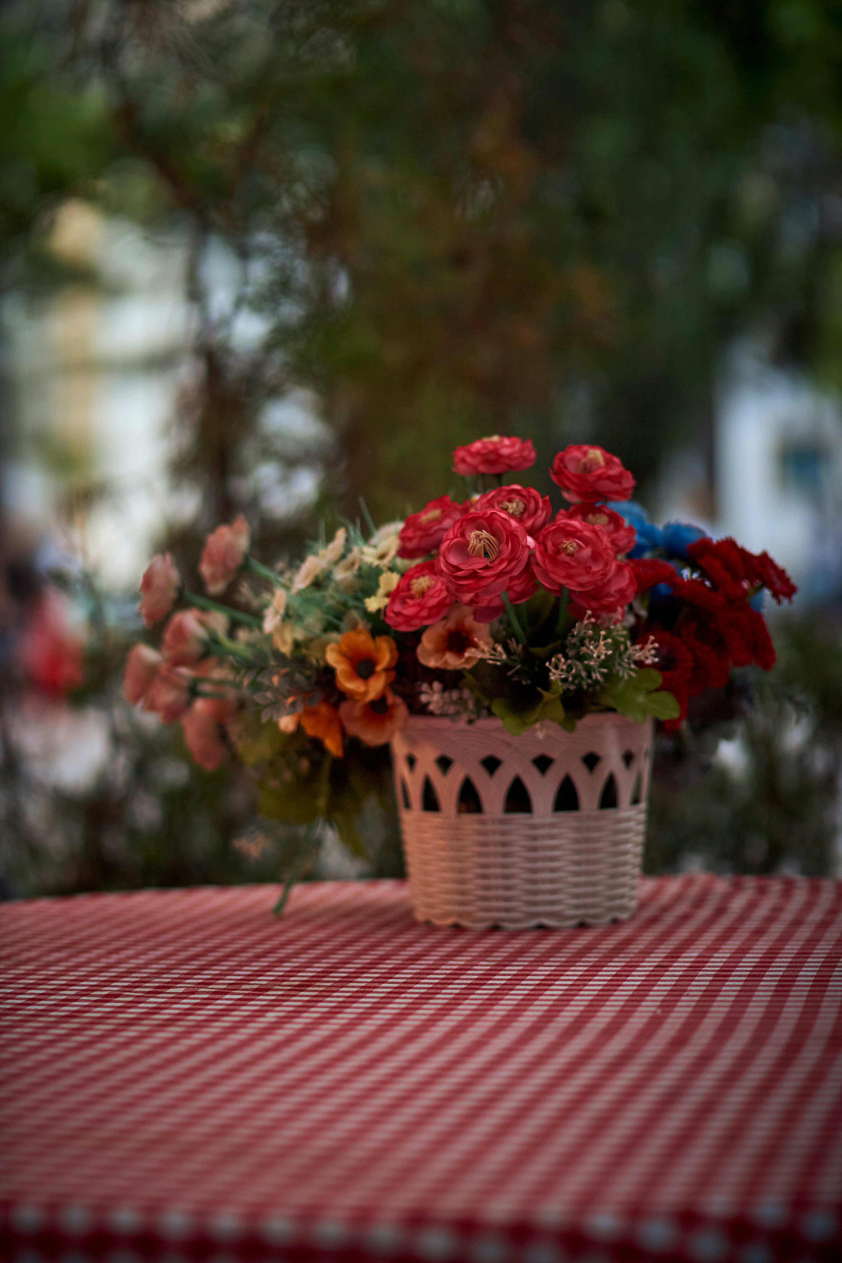 Crimson Blooms in a Wicker Basket on a Sunlit Checkered Table