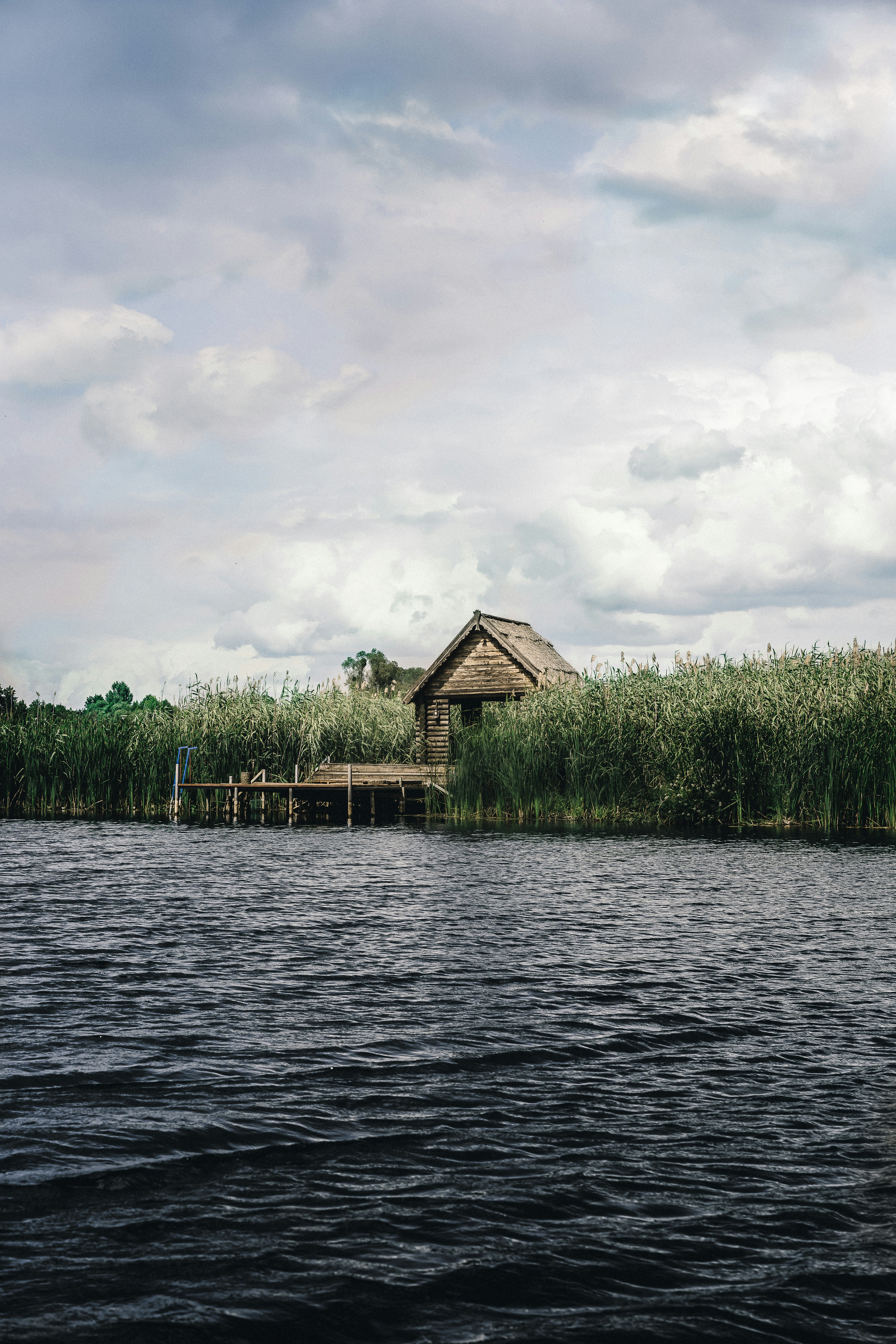 Reed-Rowed Cabin at the Edge of a Quiet Lake
