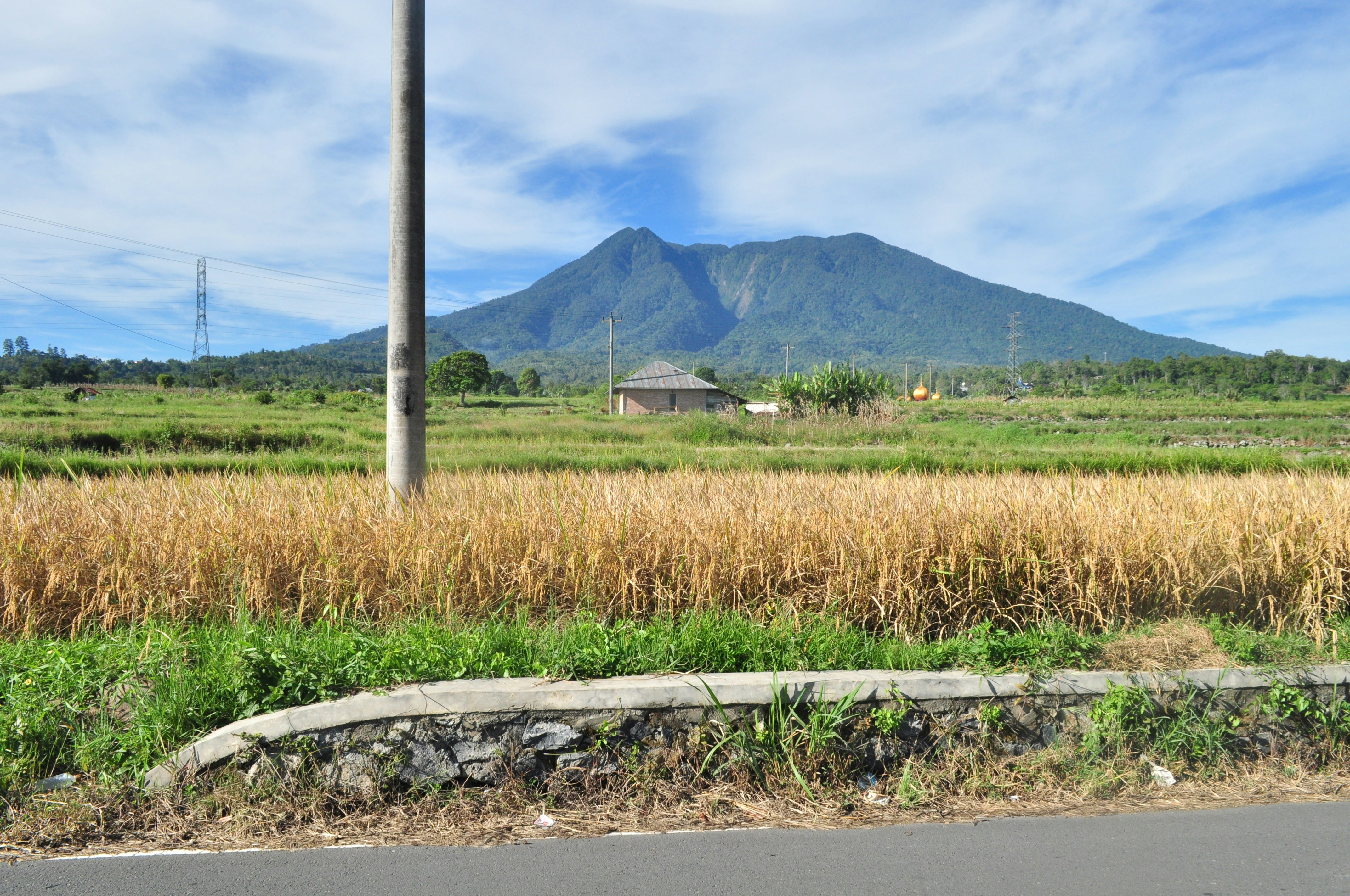 Ibrahim Musa (@ibrahim_musa) | Unsplashフォトコミュニティ