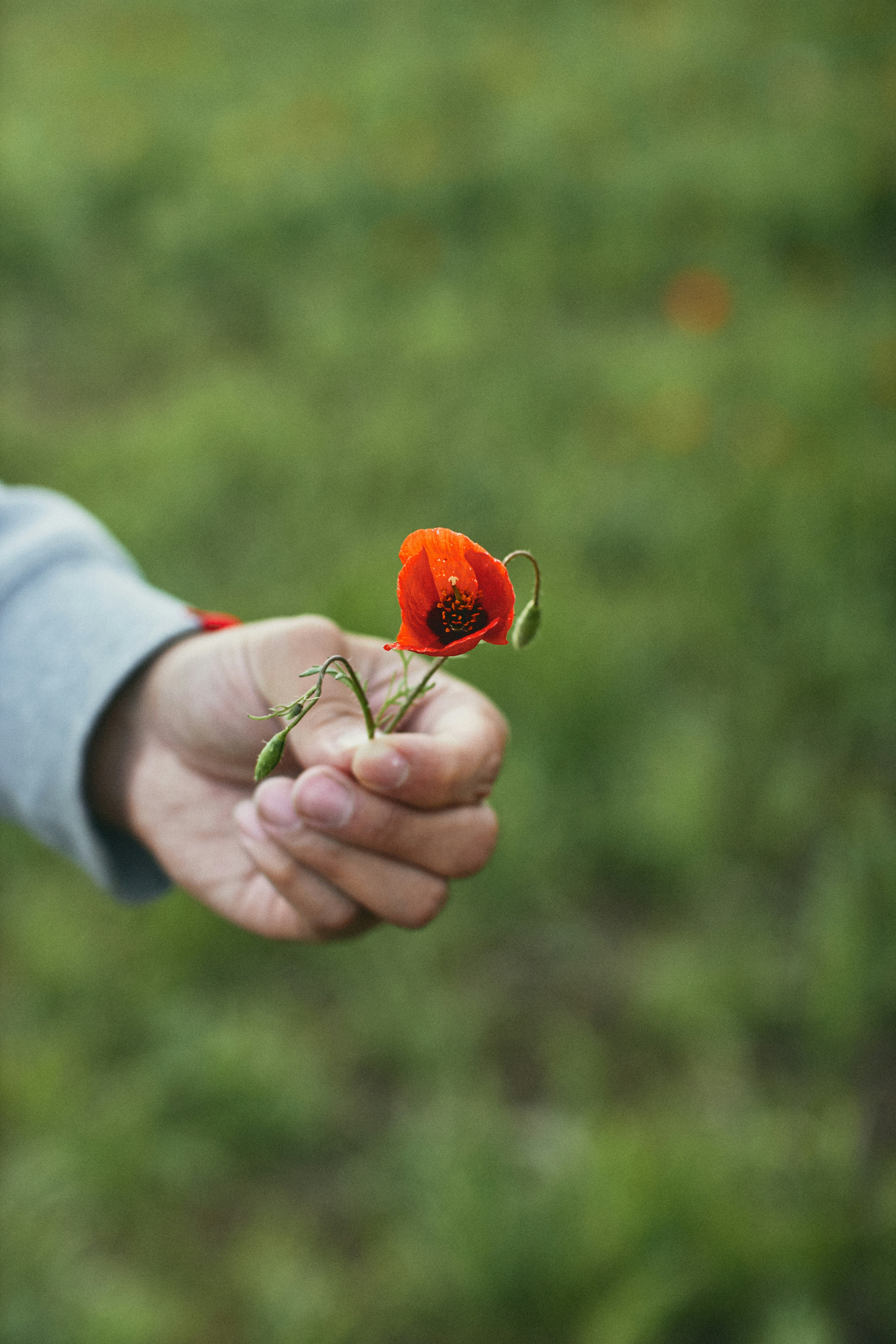 Generosity Pictures | Download Free Images on Unsplash