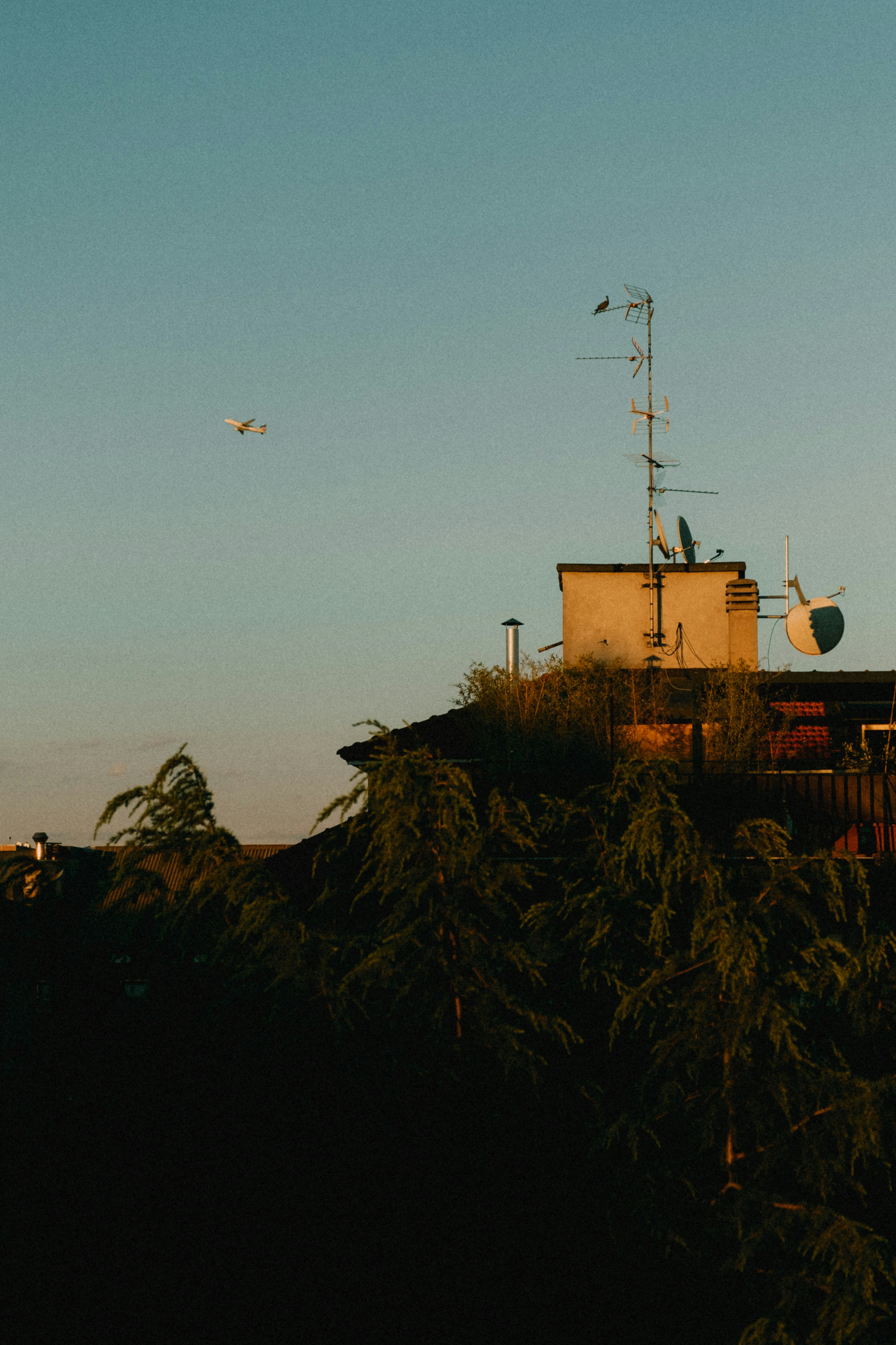 A plane flying over a building photo – Free Milano Image on Unsplash