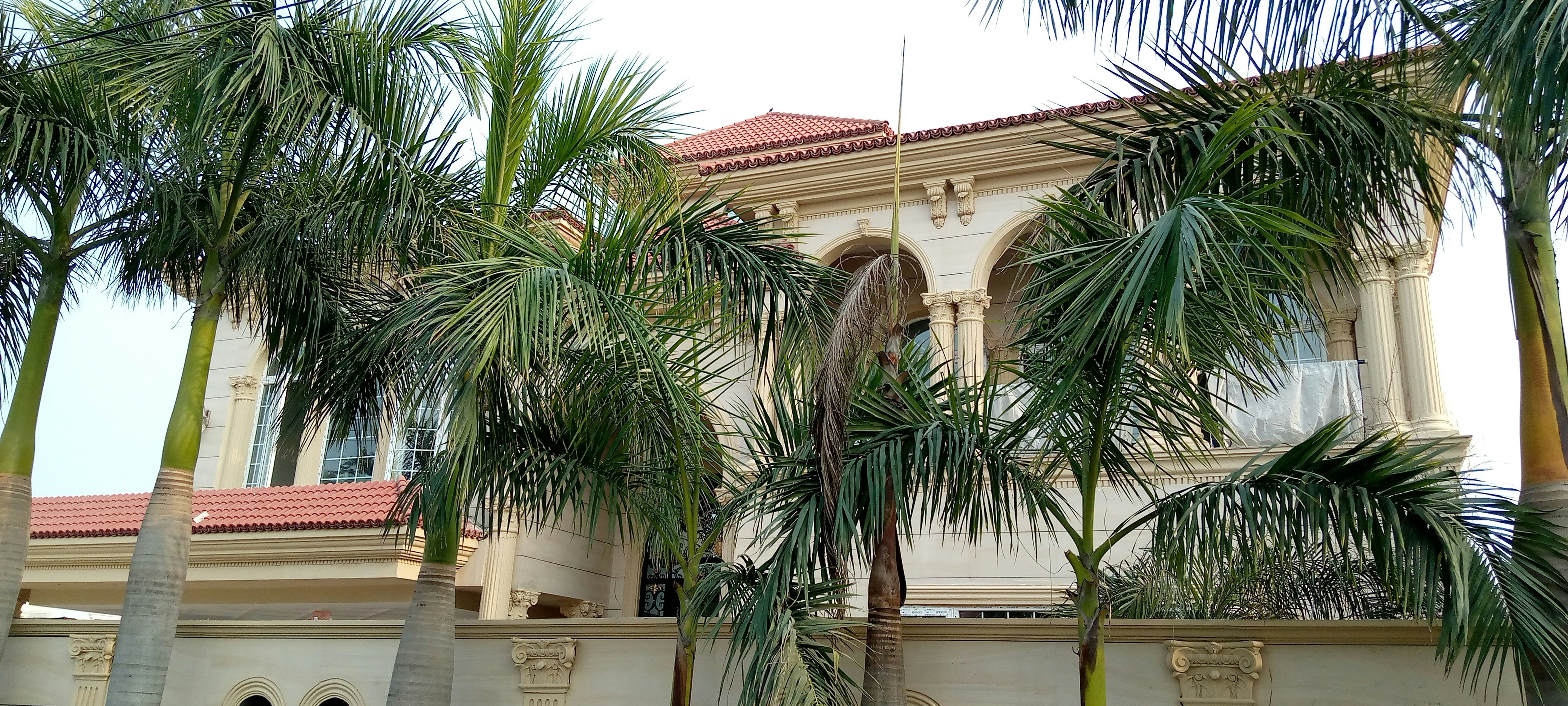 Muhammad Amer Taj (@amertaj_1969) | Komunitas Foto Unsplash