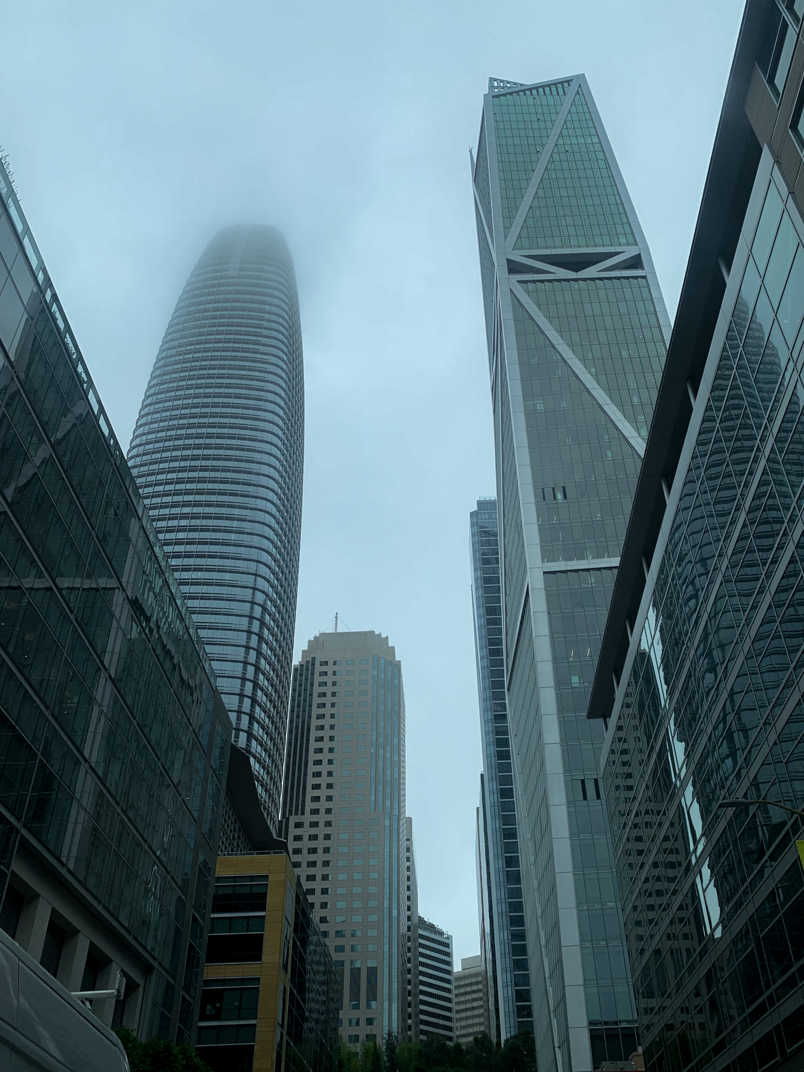 Vertical Convergence: Narrow Glass Canyon of Skyscrapers Reaching the Overcast Sky