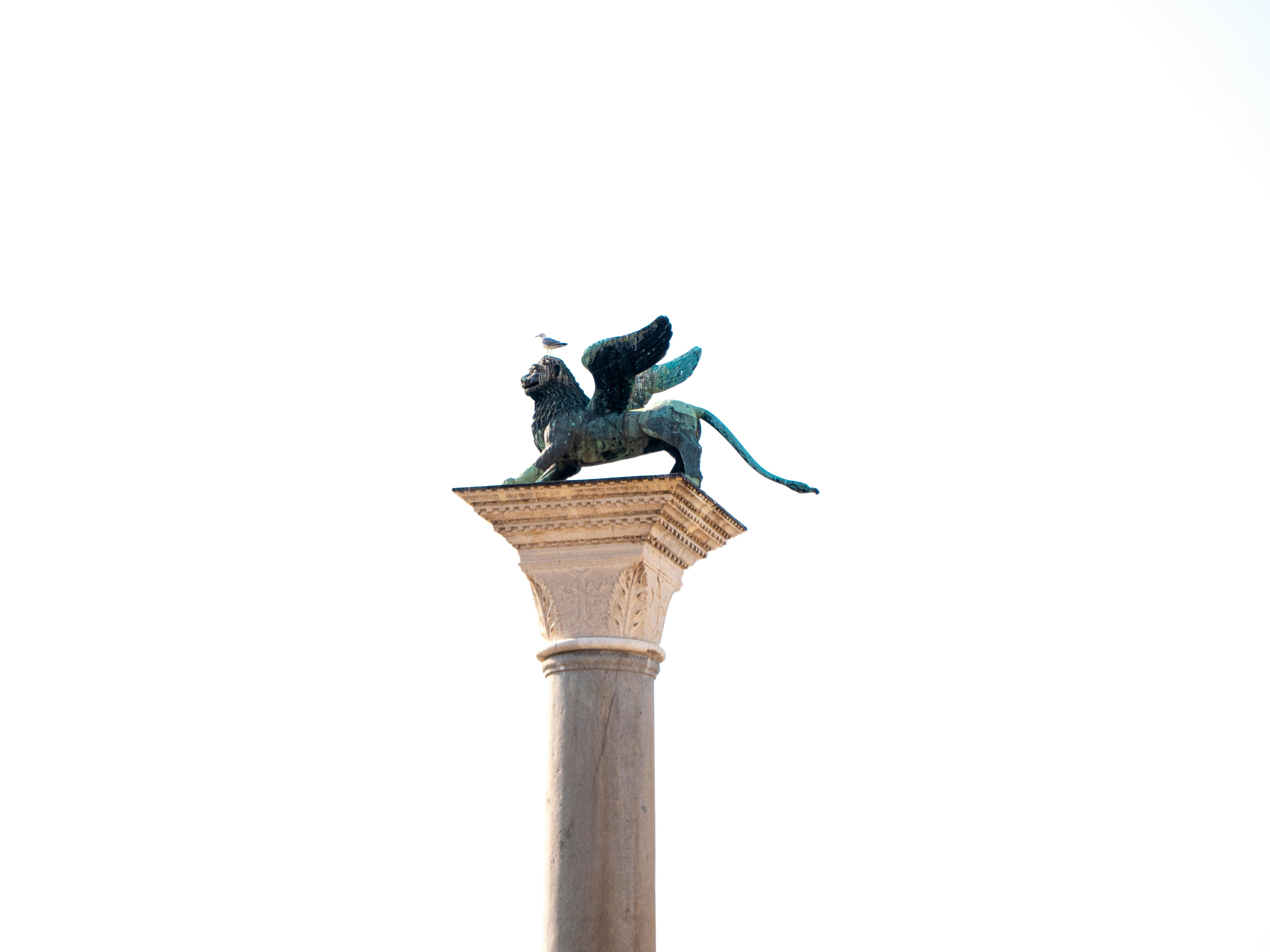 Griffin Sentinel on a Classical Pillar Against a Bright Sky