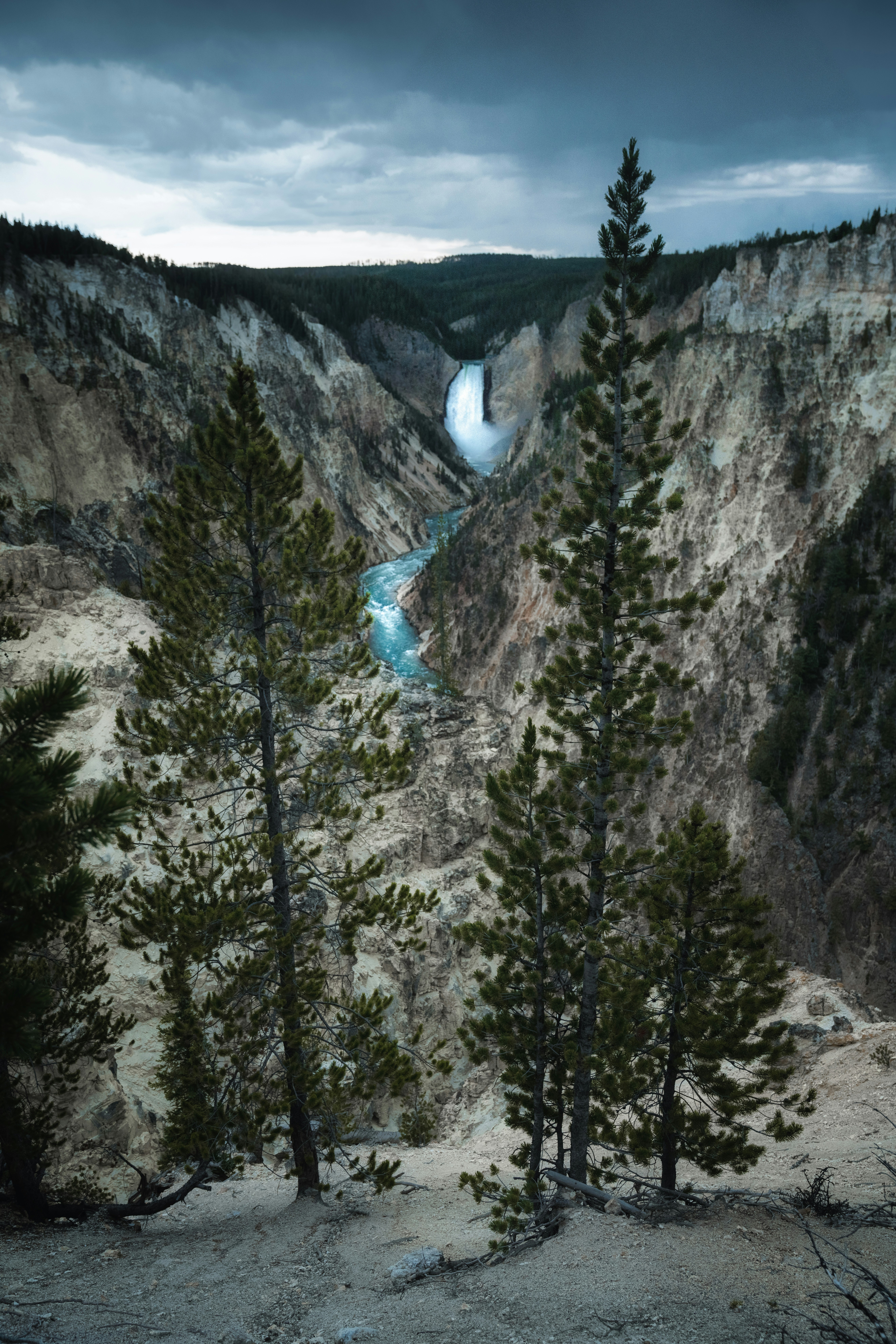 Timber Corridor to a Turquoise Vein: View Through the Canyon