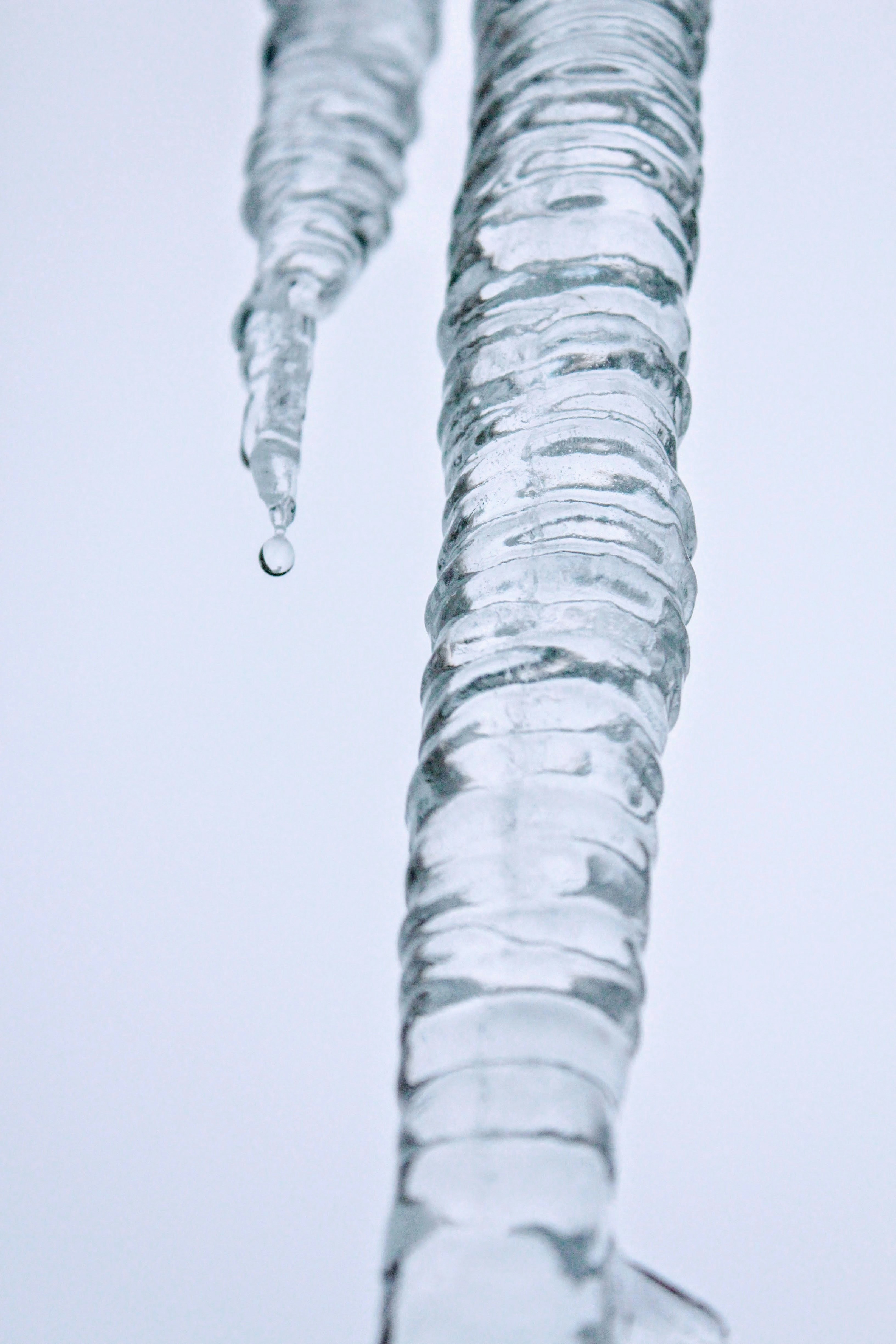 Photo by Meg Jenson with Canon EOS 650D