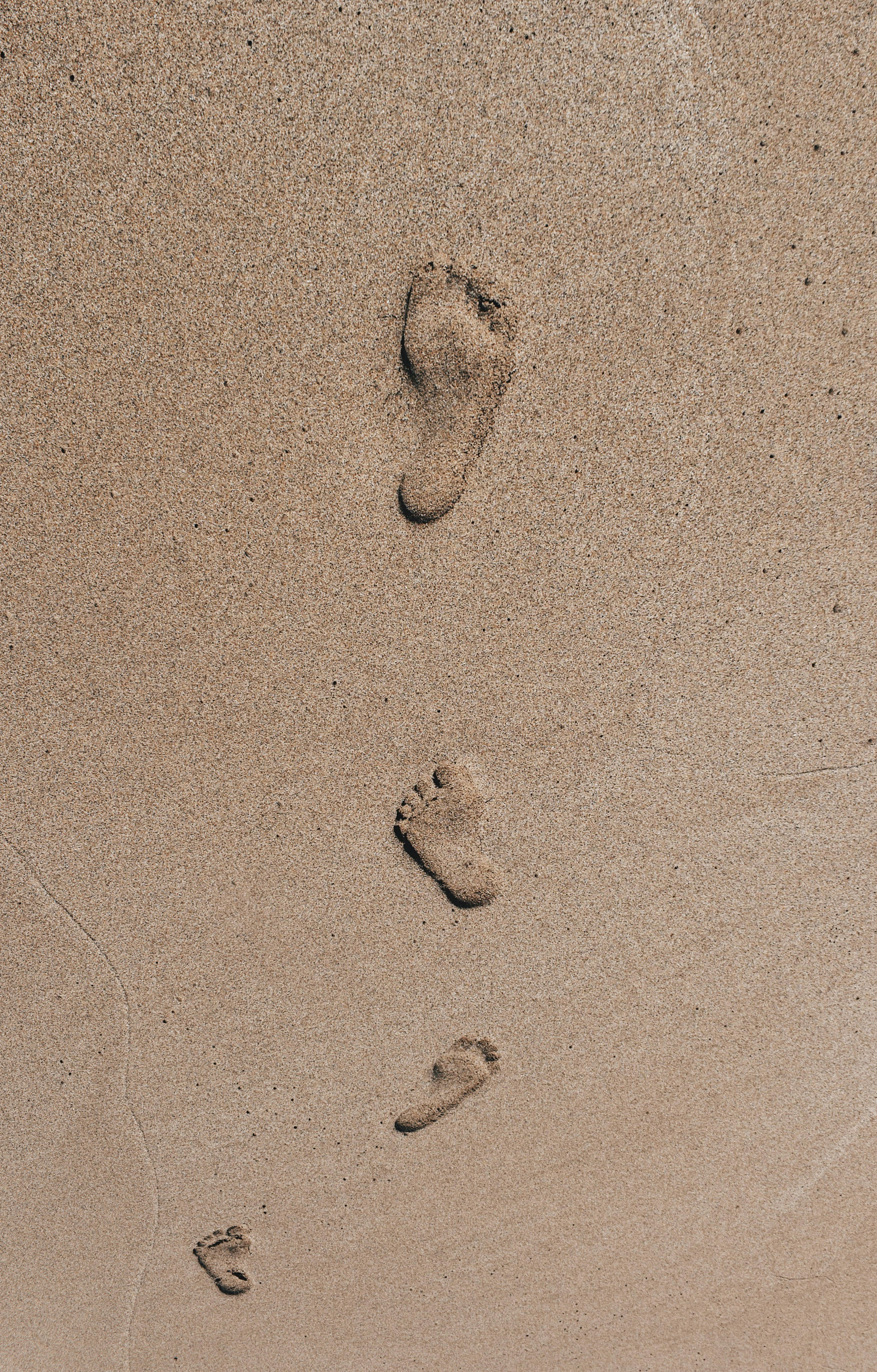a group of small black and white objects on a white surface