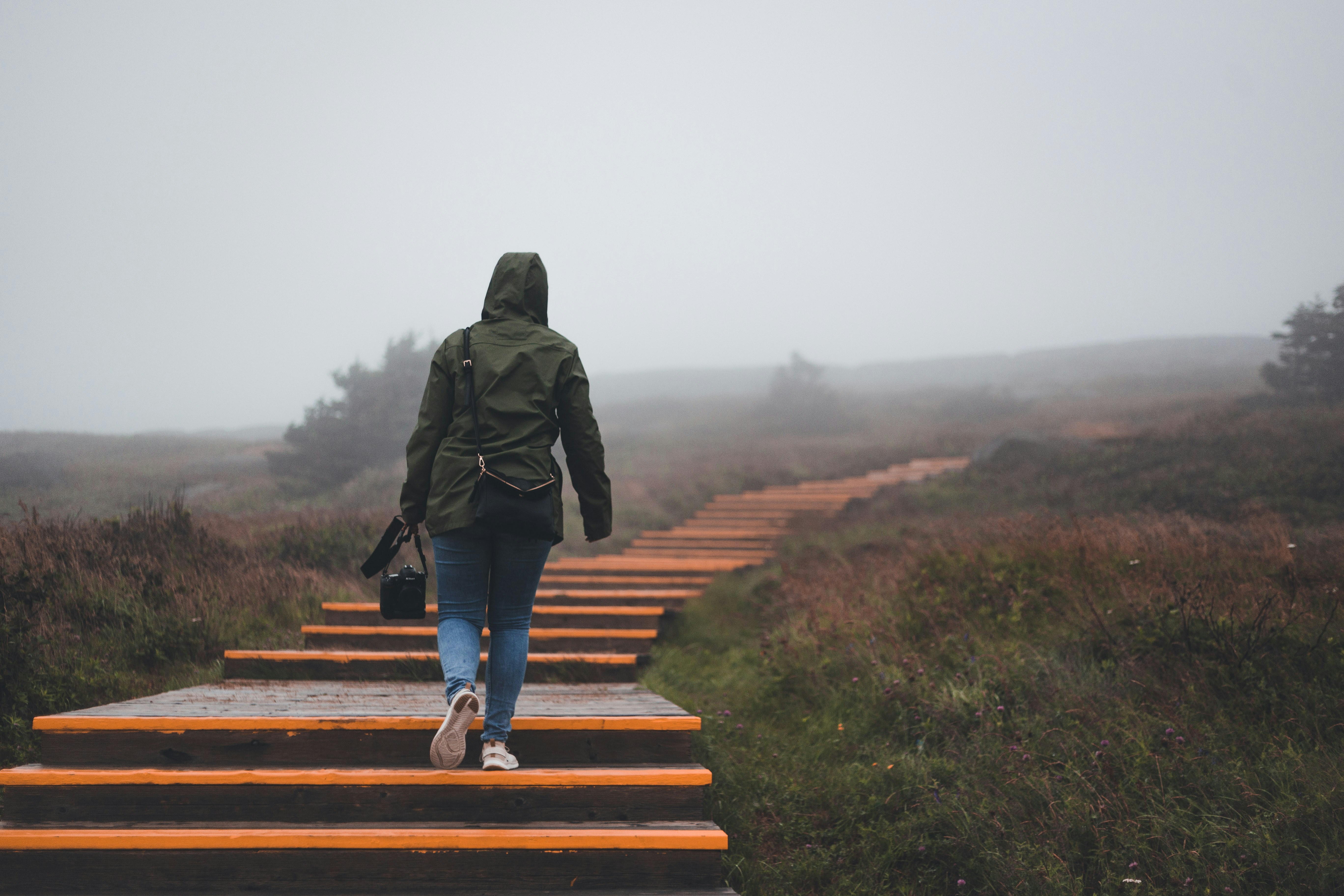 A Person Walking On A Path Photo – Free Grey Image On Unsplash
