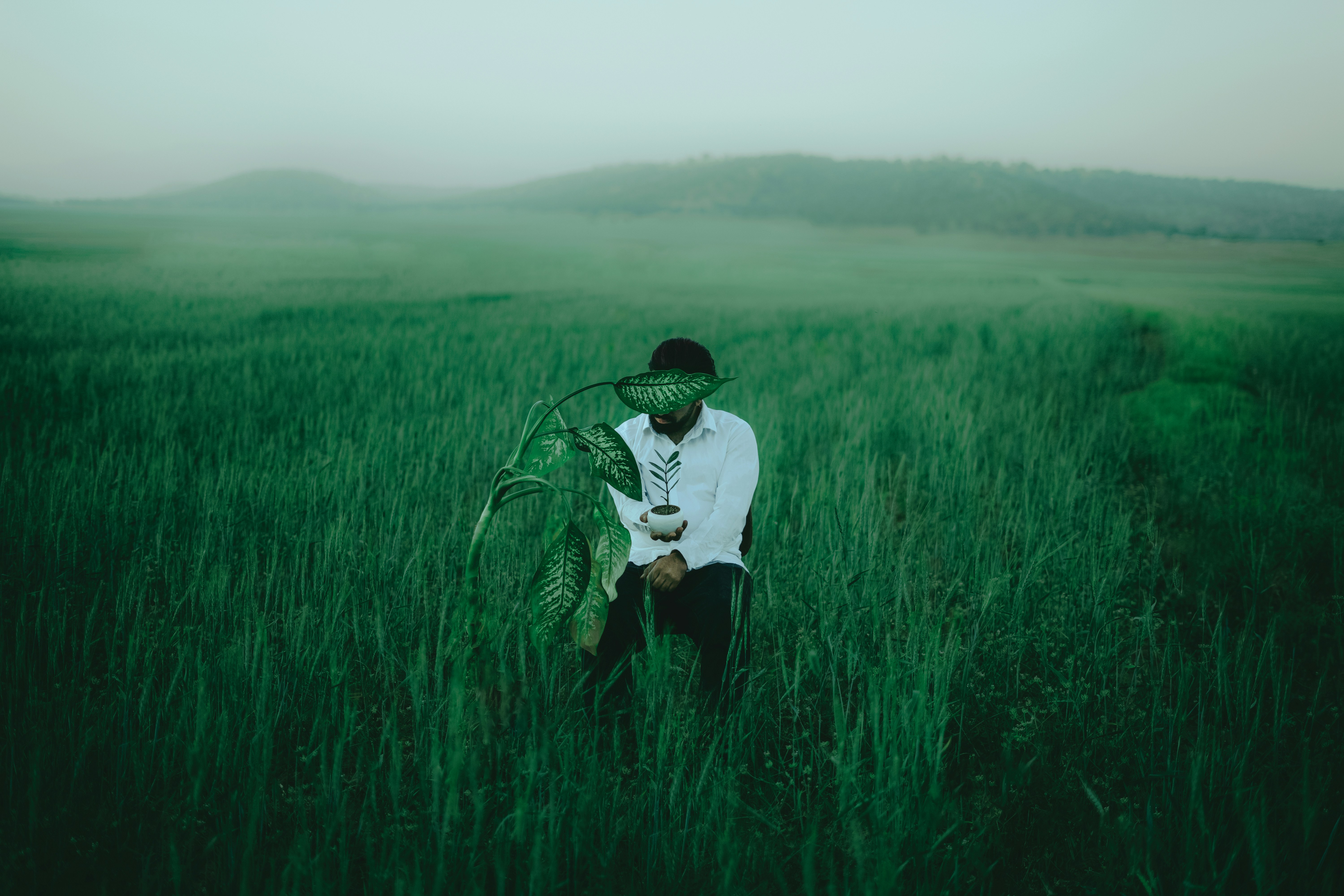 Emerald Quiet: A Kneeling Figure in a Teal-Hazed Prairie