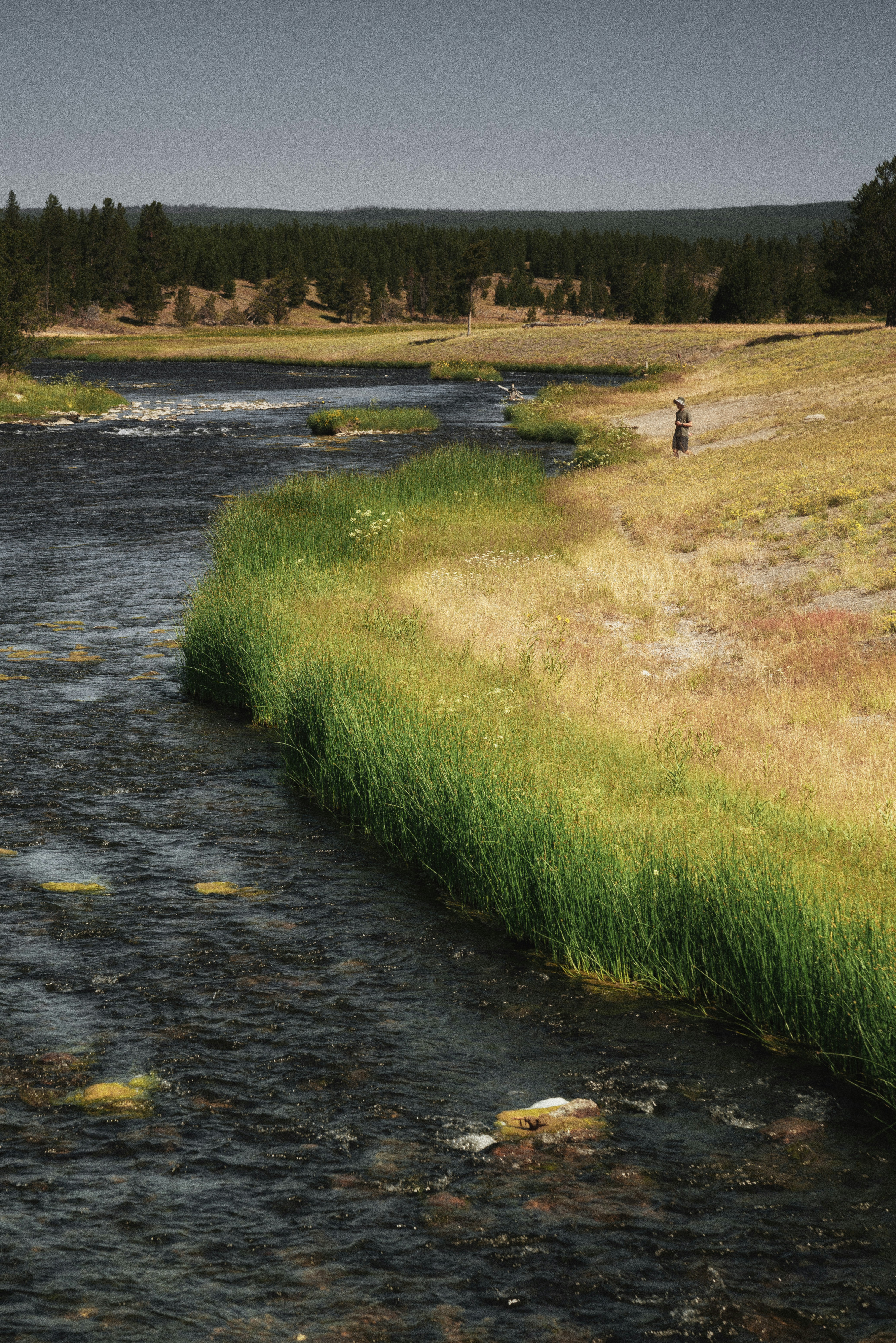 Whisper of the Current: A Lone Angler on the Meadow Riverbank