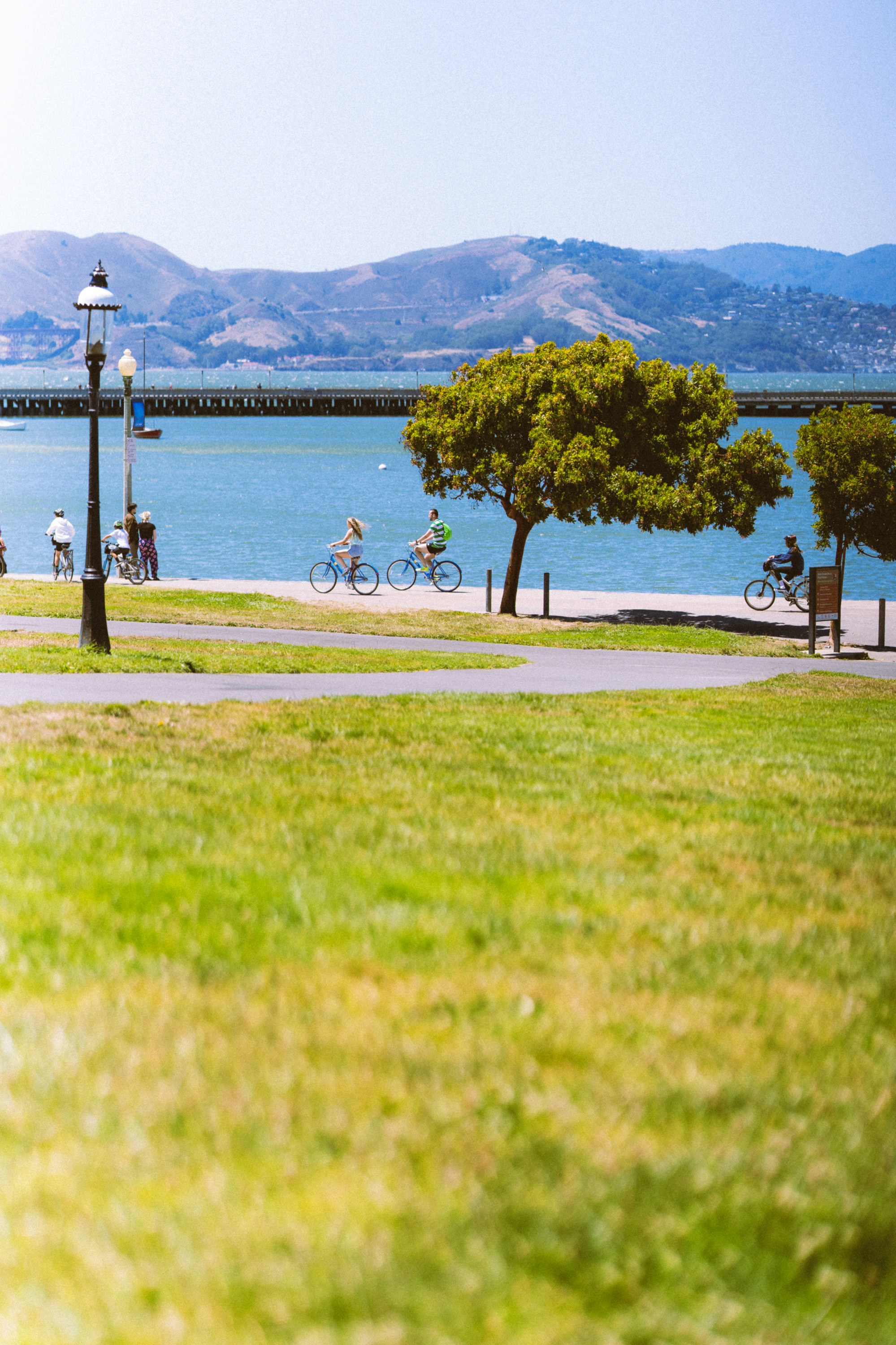 Bayside Promenade: Cyclists Glide Along a Sunlit Waterfront