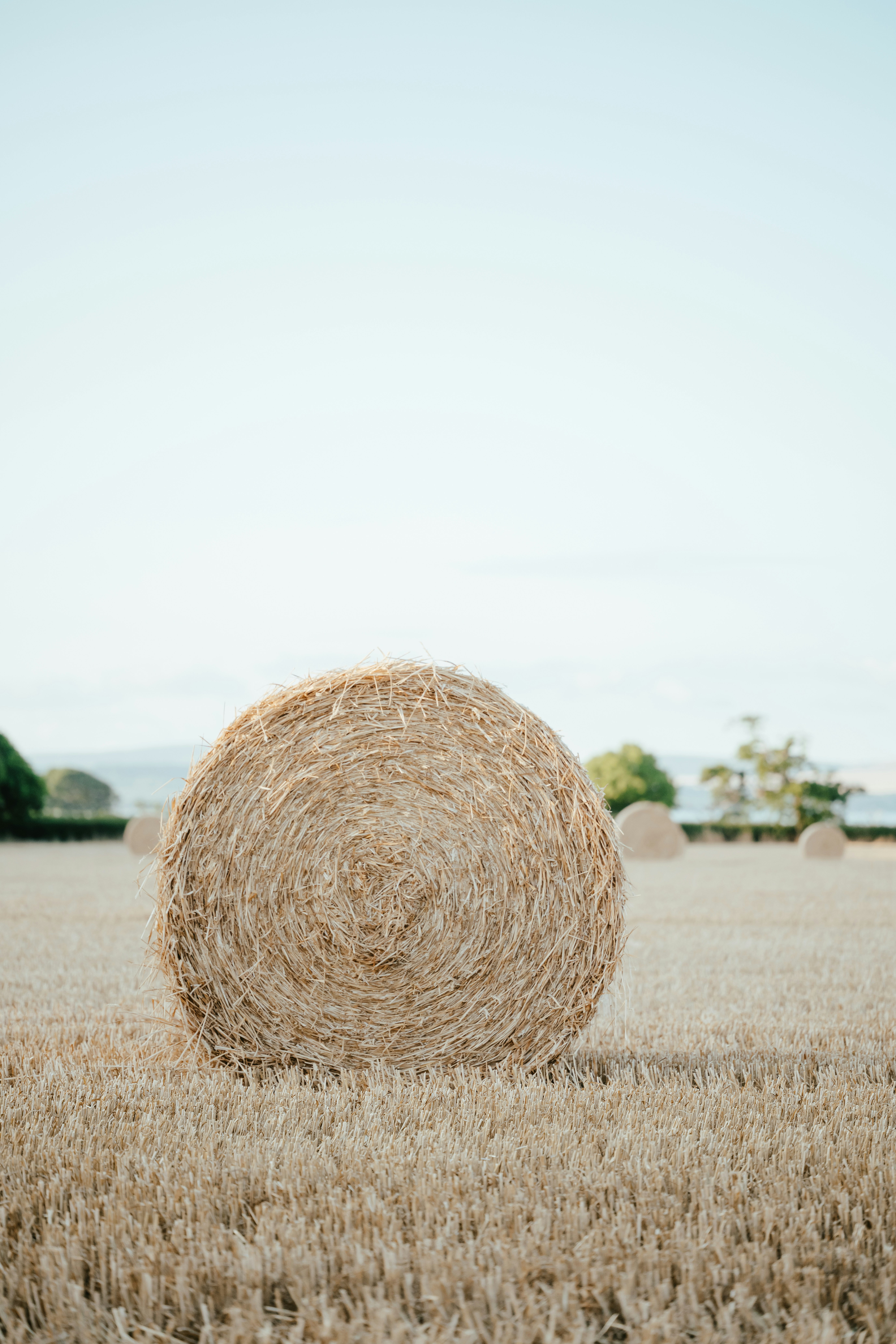 Una paca de heno en un campo foto – Imagen de Naturaleza gratuita en ...