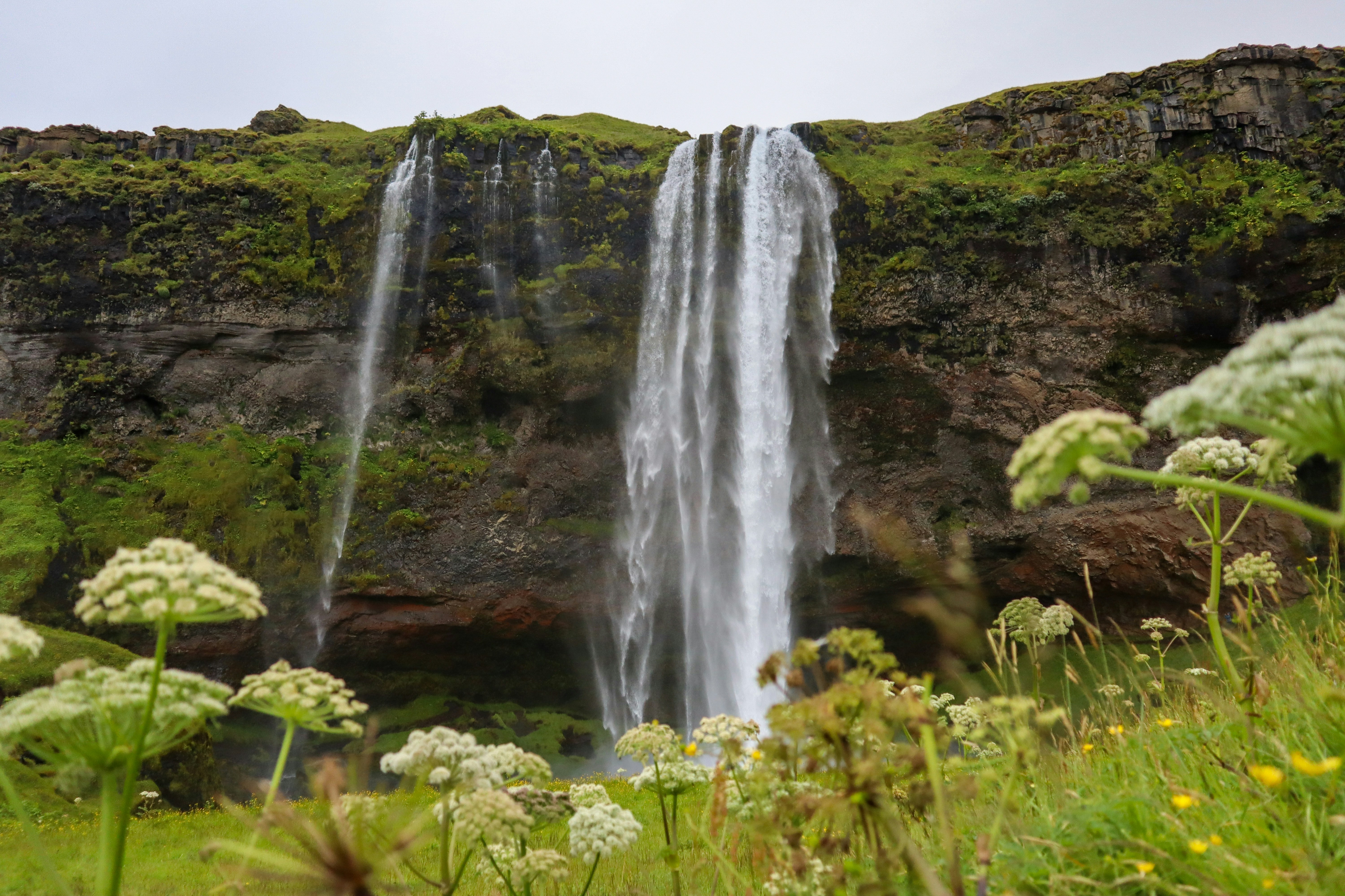 A waterfall in a forest photo – Free Seljalandsfoss Image on Unsplash