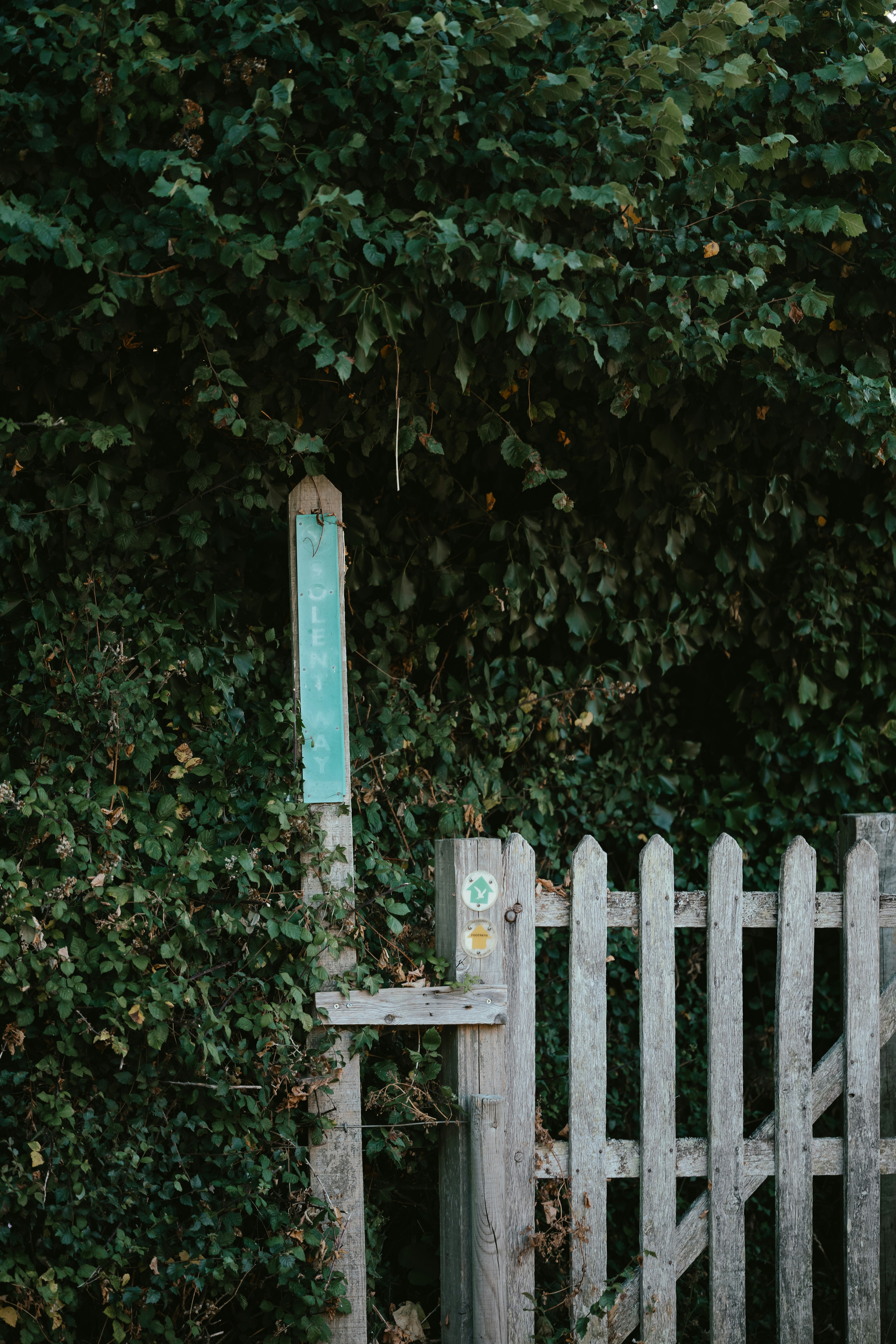 A fence with a green pole and trees in the background photo – Free Gate ...