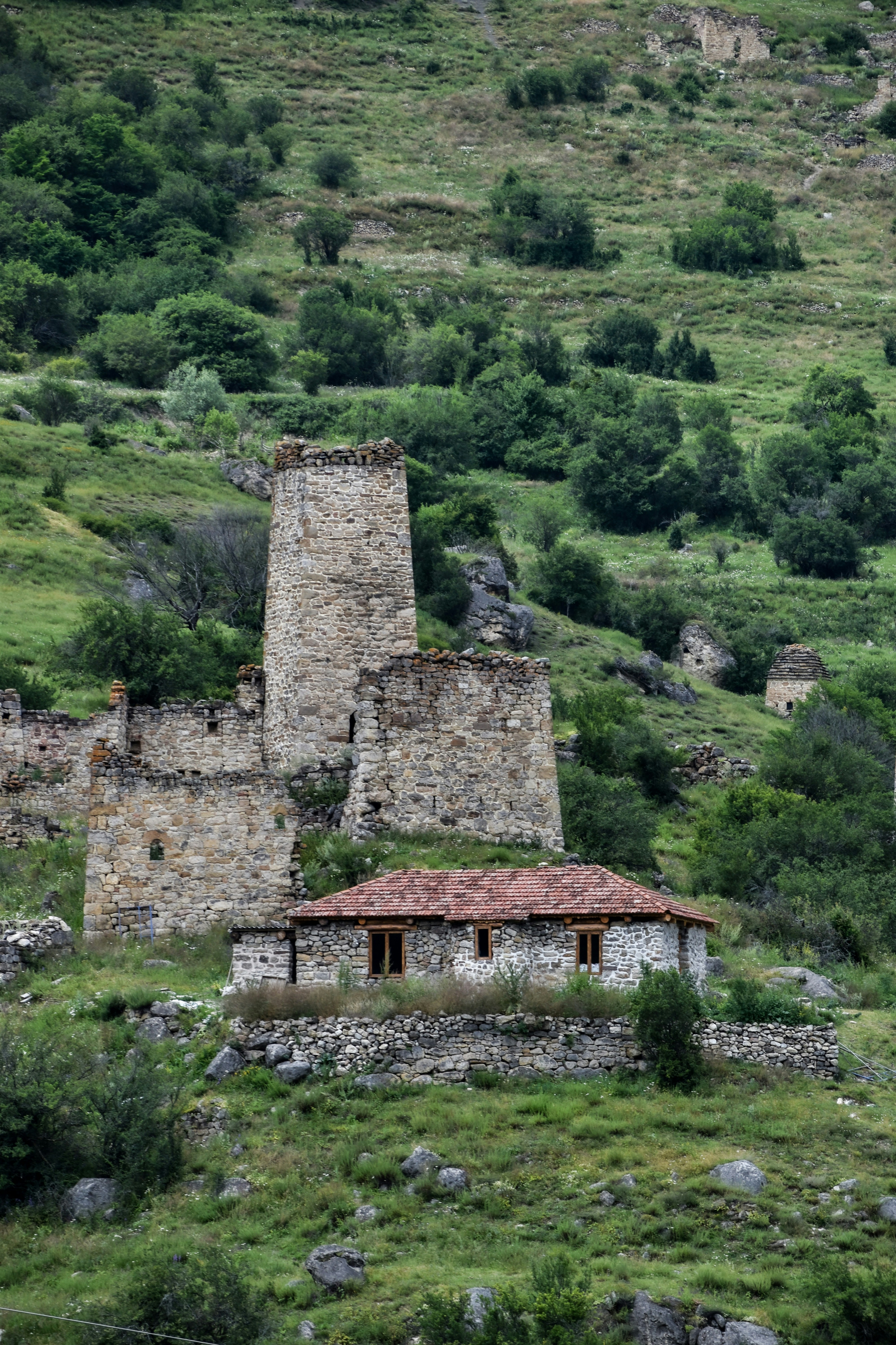 Historic stone fortress ruins stand amidst lush greenery, with a quaint house in the foreground. The scene evokes a sense of timelessness and natural beauty.