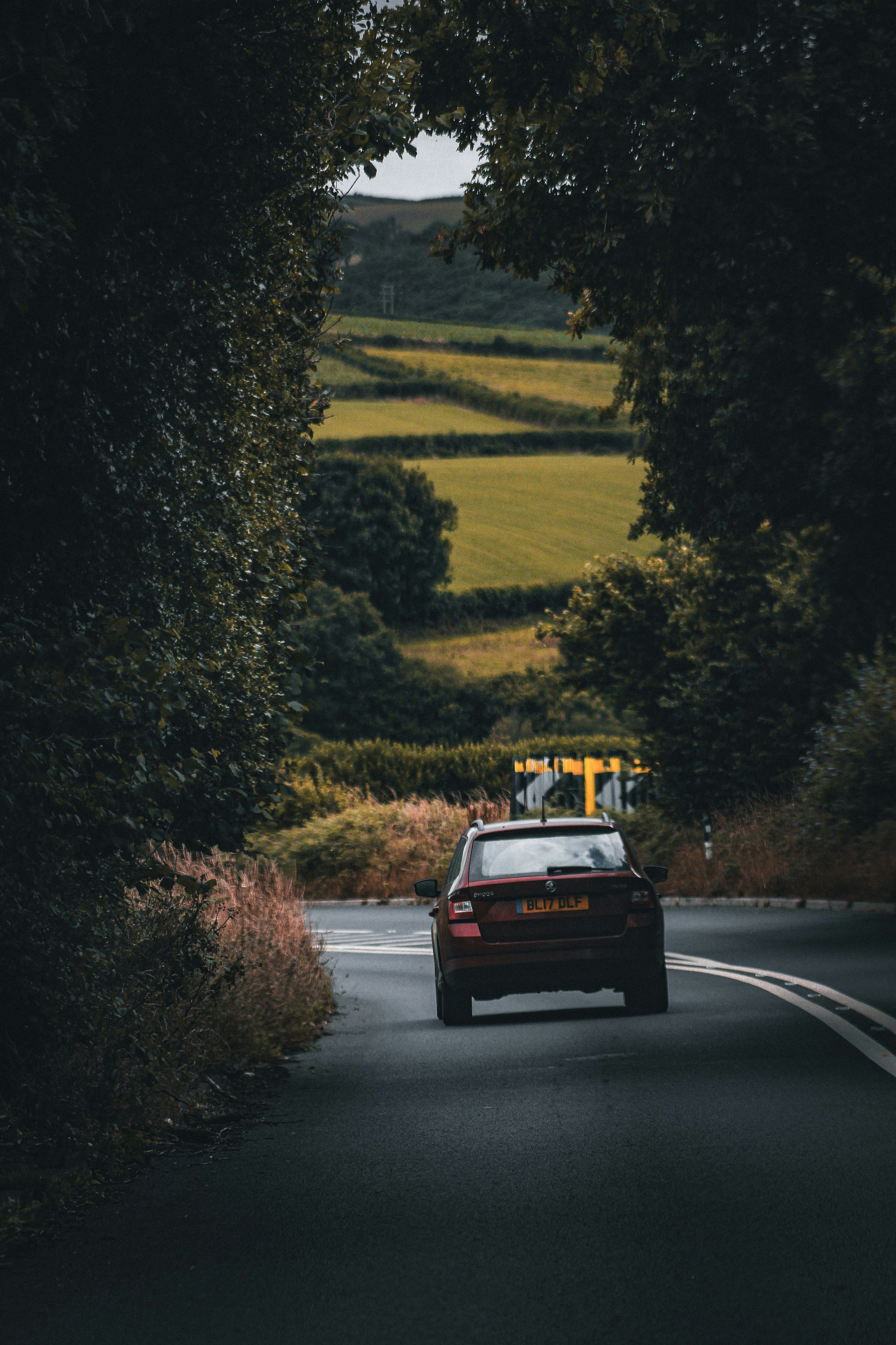 A car navigates a winding road framed by lush greenery, leading to distant fields under a cloudy sky.