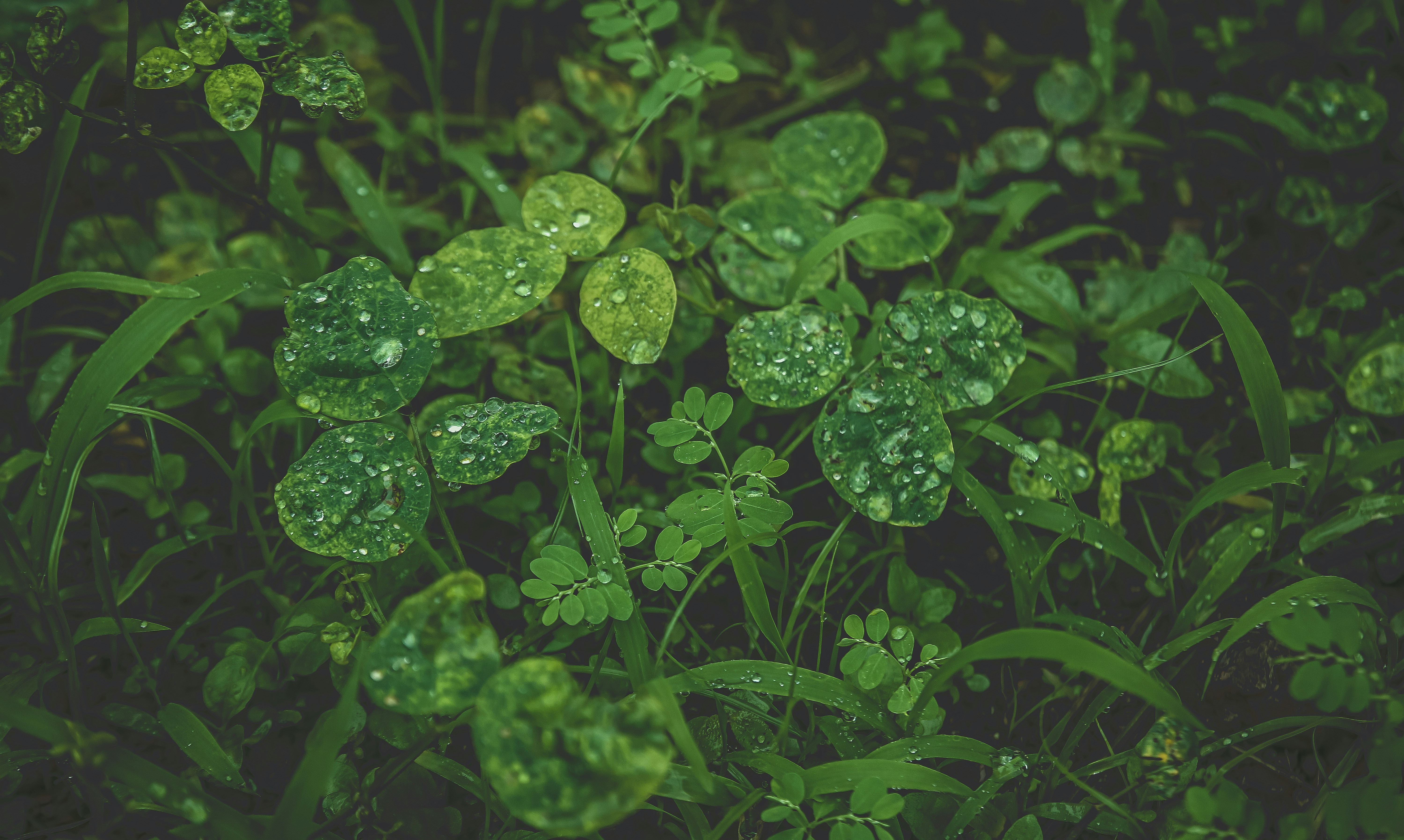 Sarthak Padwal (@sarthakpadwal_) | Unsplash Photo Community