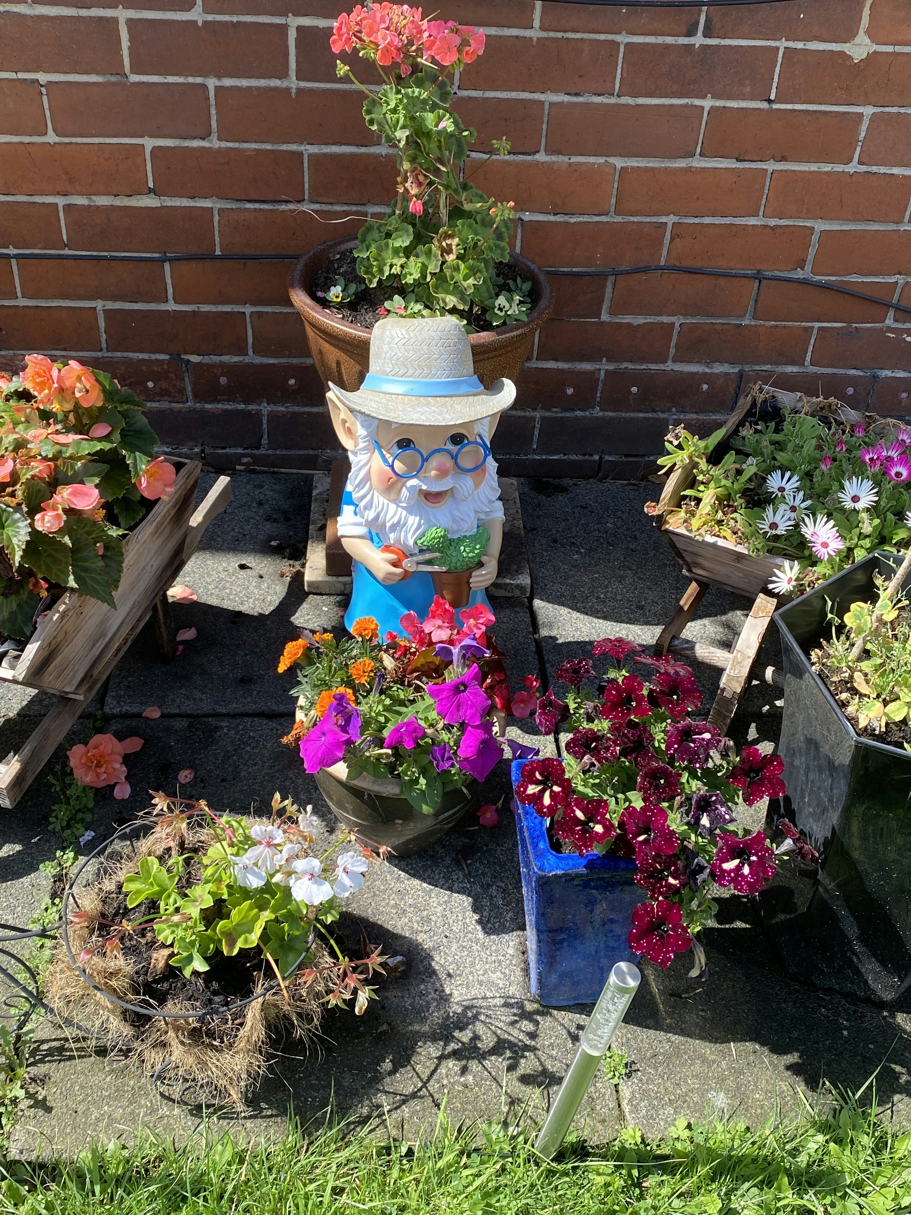 Whimsical Garden Sentinel Amid Blossoms