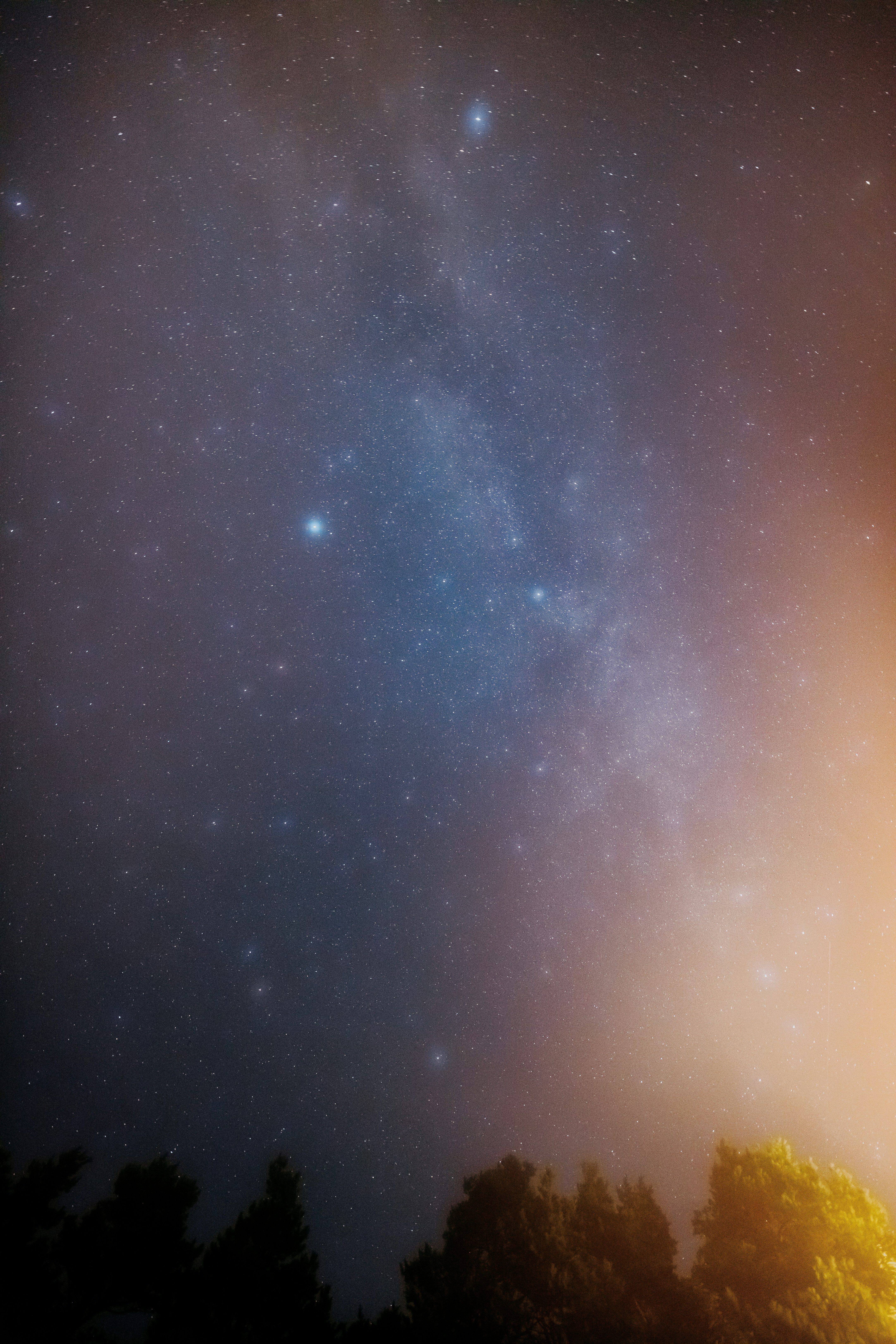 Star-filled night sky with the Milky Way above silhouetted trees, illuminated by a warm glow.