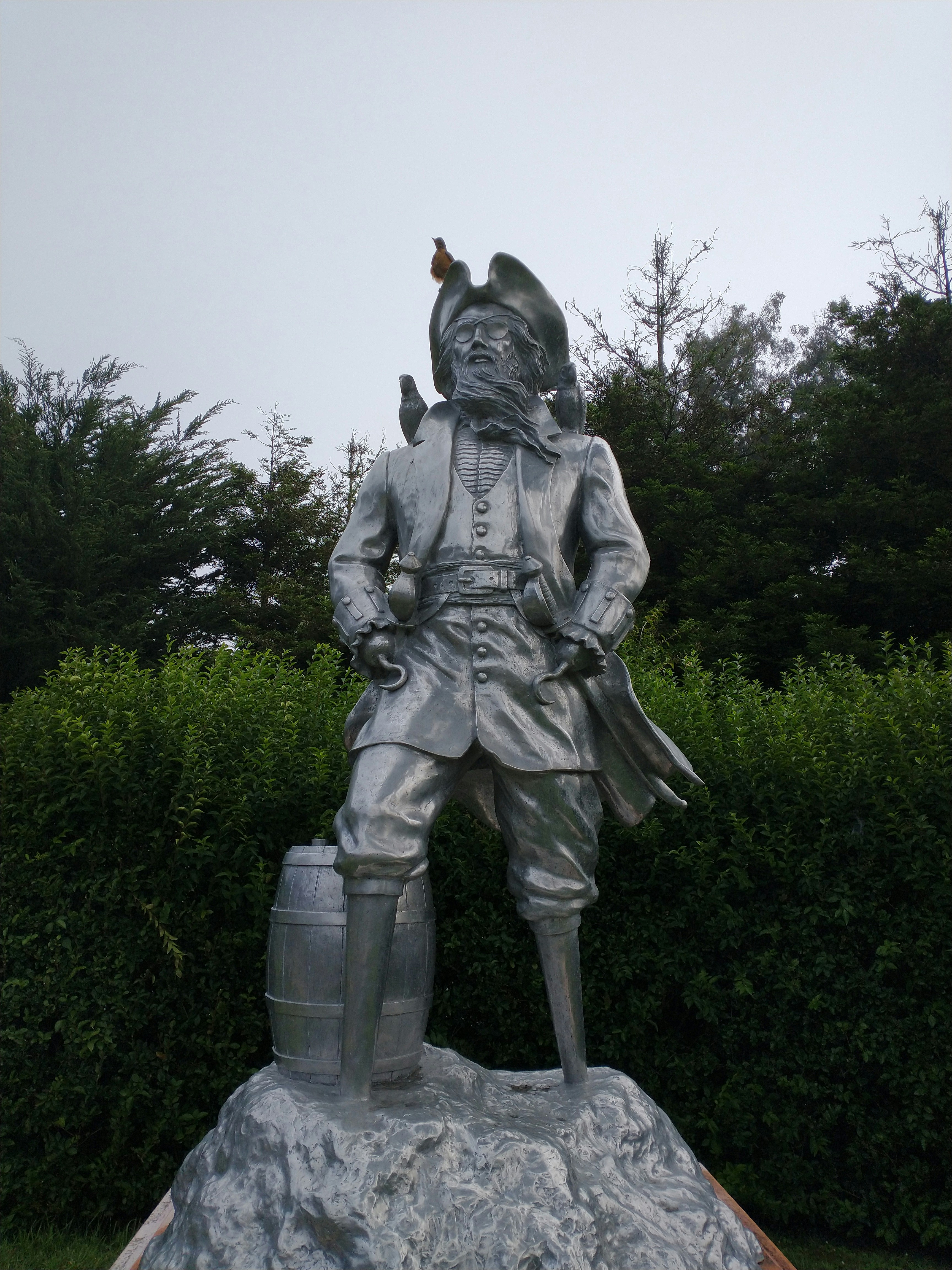 Iron Pirate Stand: A Resolute Statue Guarding the Hedge