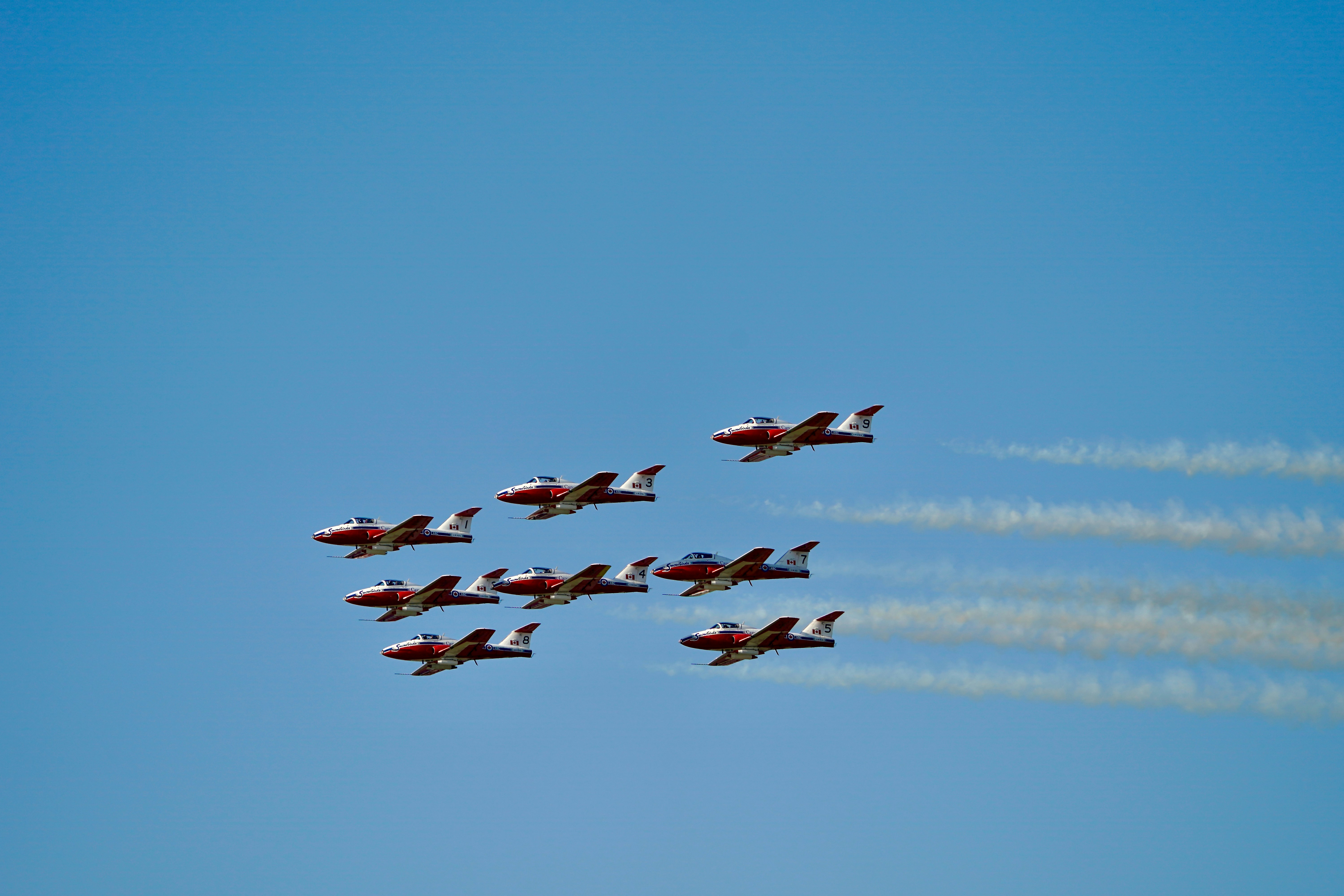 Foto Un grupo de aviones volando en el cielo – Imagen Pájaros de nieve ...