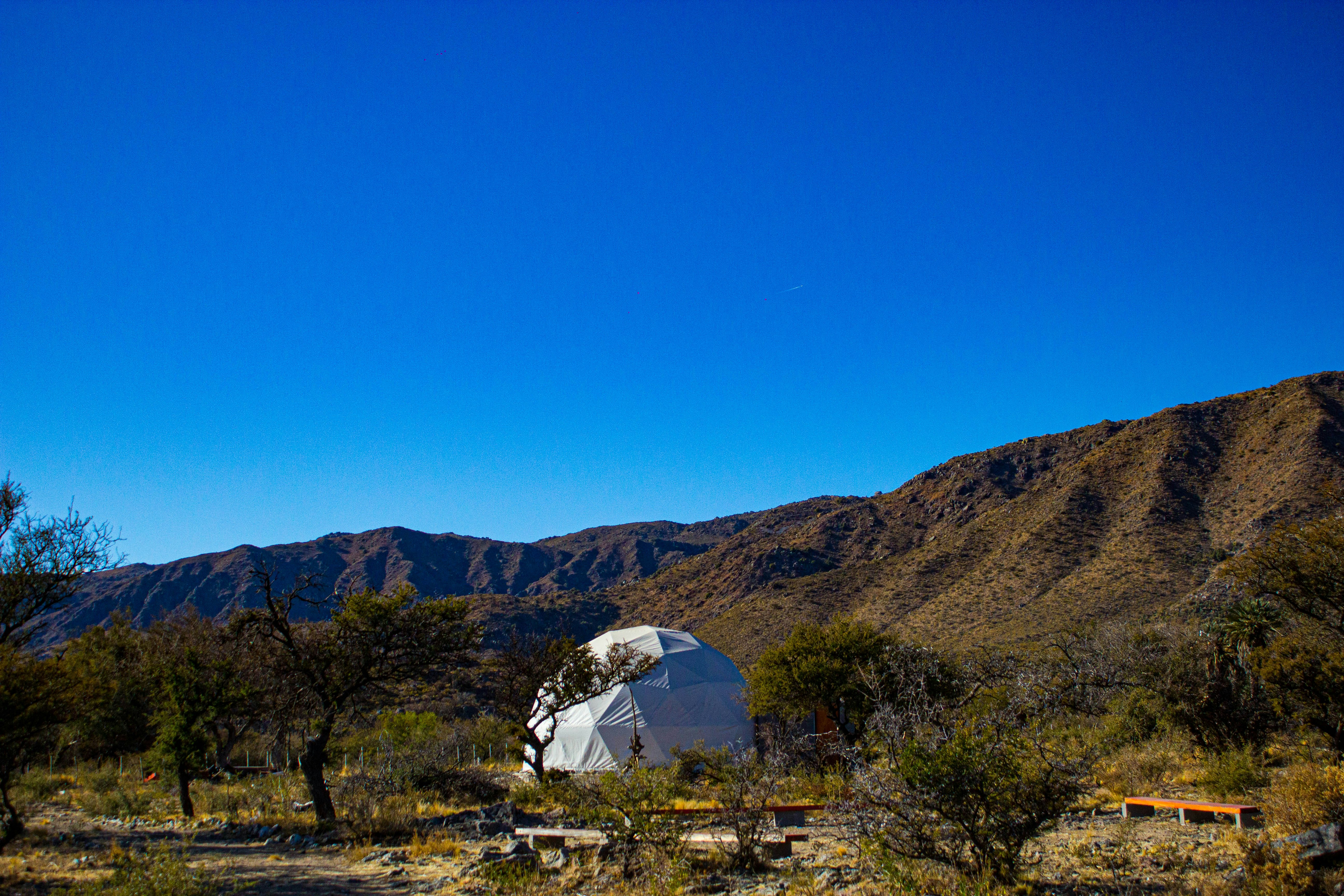 White Geodesic Dome Framed by Arid Pines Beneath a Pristine Blue Desert Sky