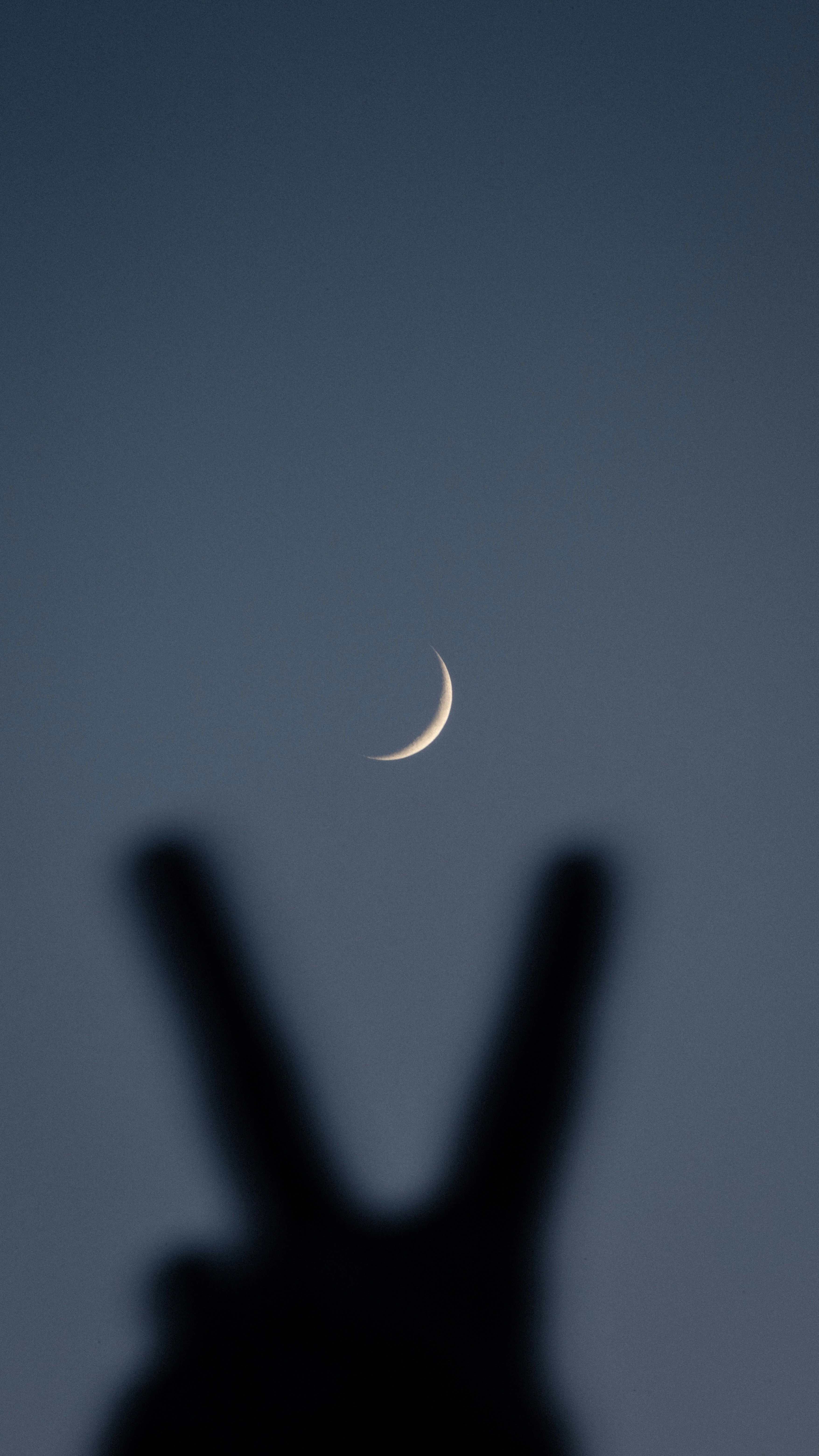 A crescent moon in the sky photo – Free Grey Image on Unsplash
