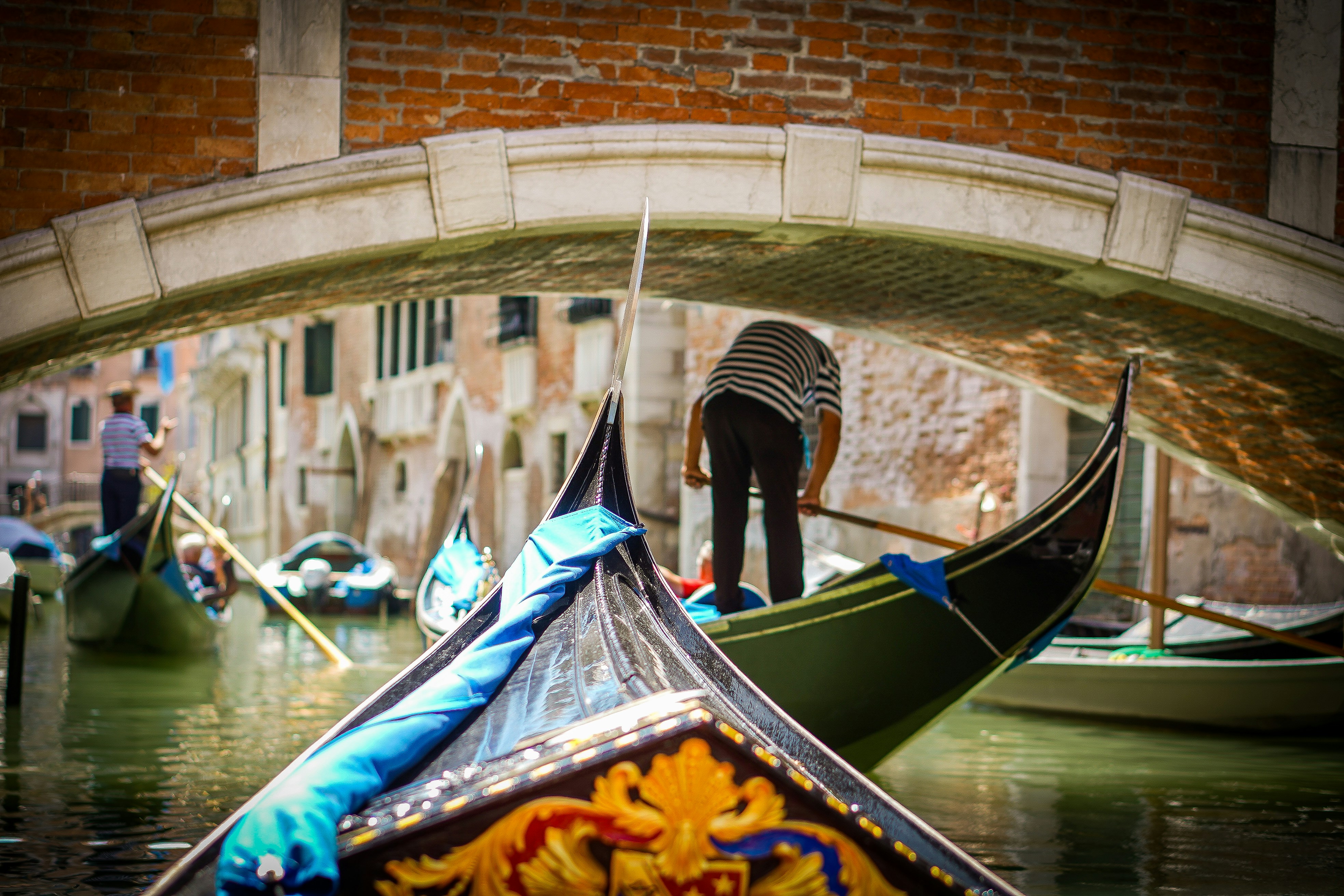 Photo by Aiva Apsite with Sony Alpha 7 III