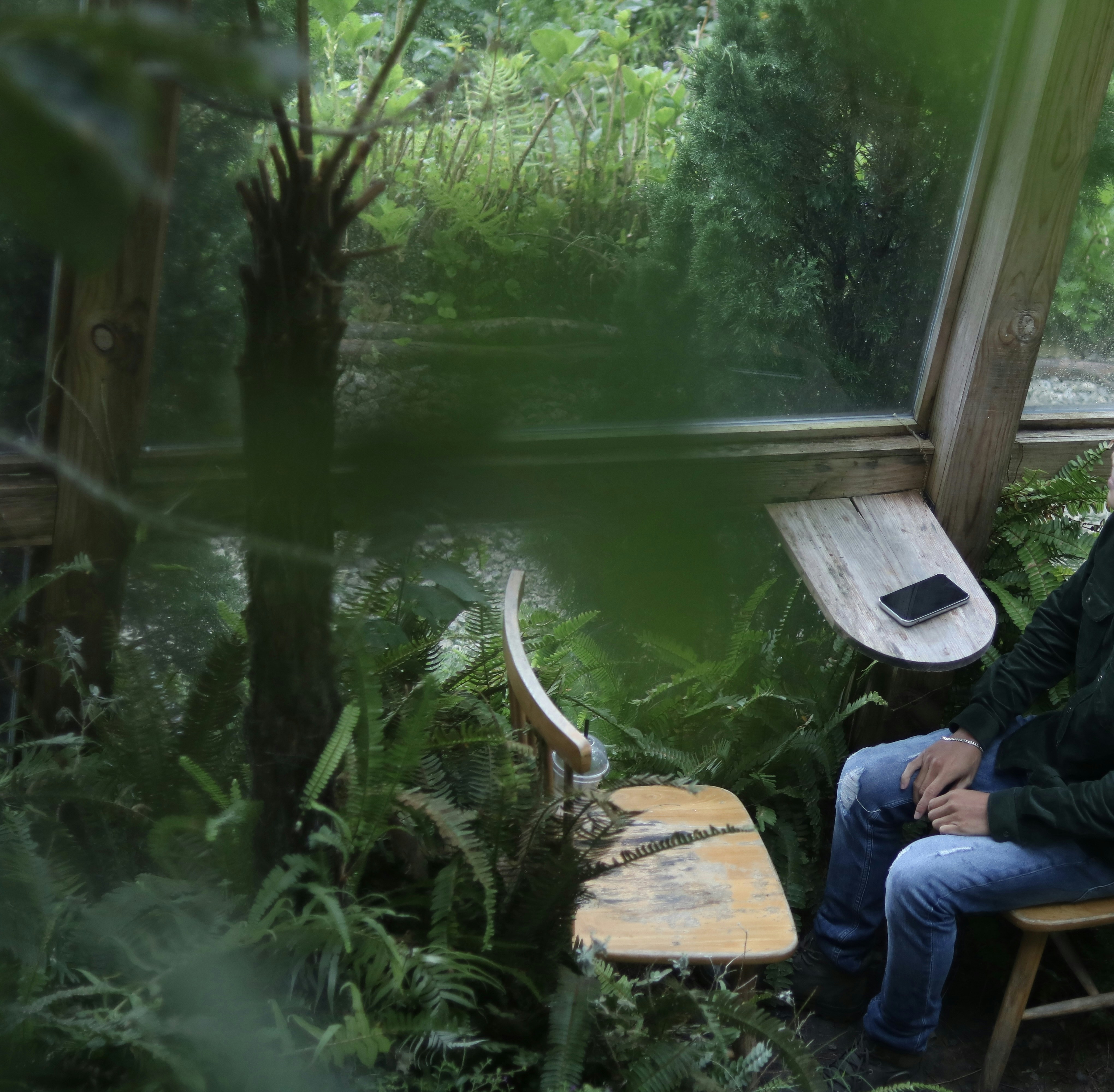 Overgrown Shelter: Quiet Corner of the Secluded Bench