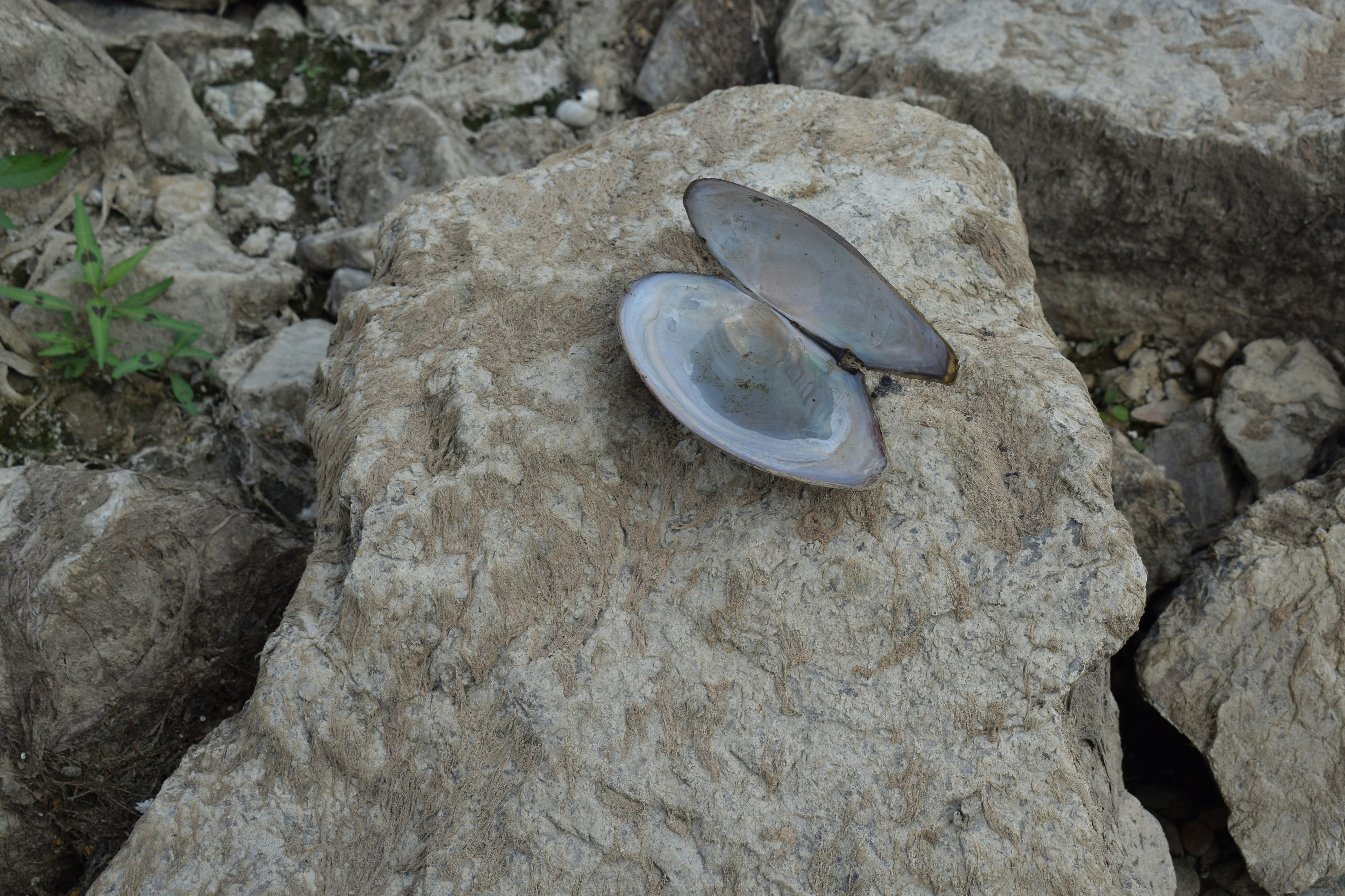 Lid on Limestone: a weathered metal resting on rugged stone