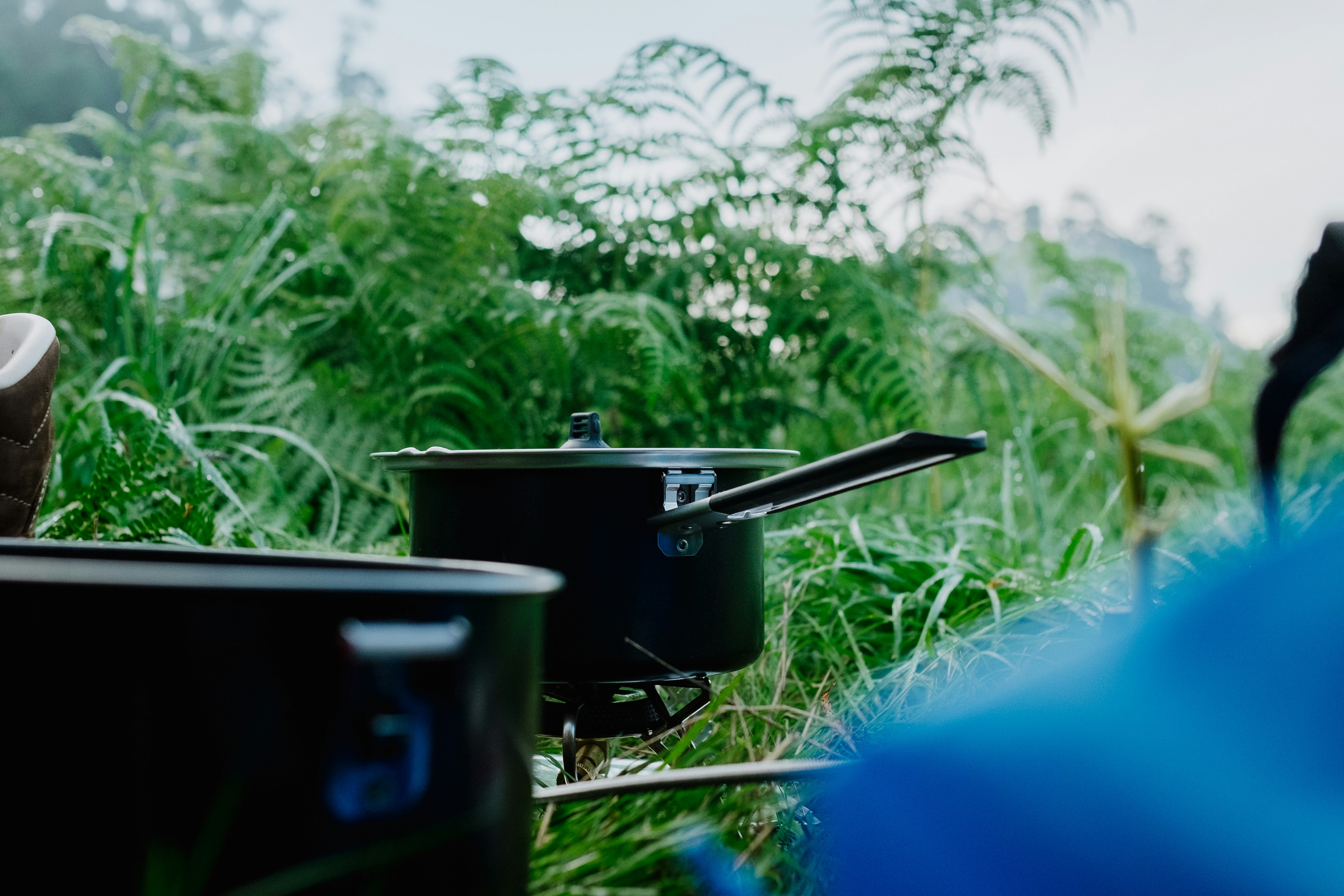 Meadow Camp Kitchen: Pots Resting Among Ferns