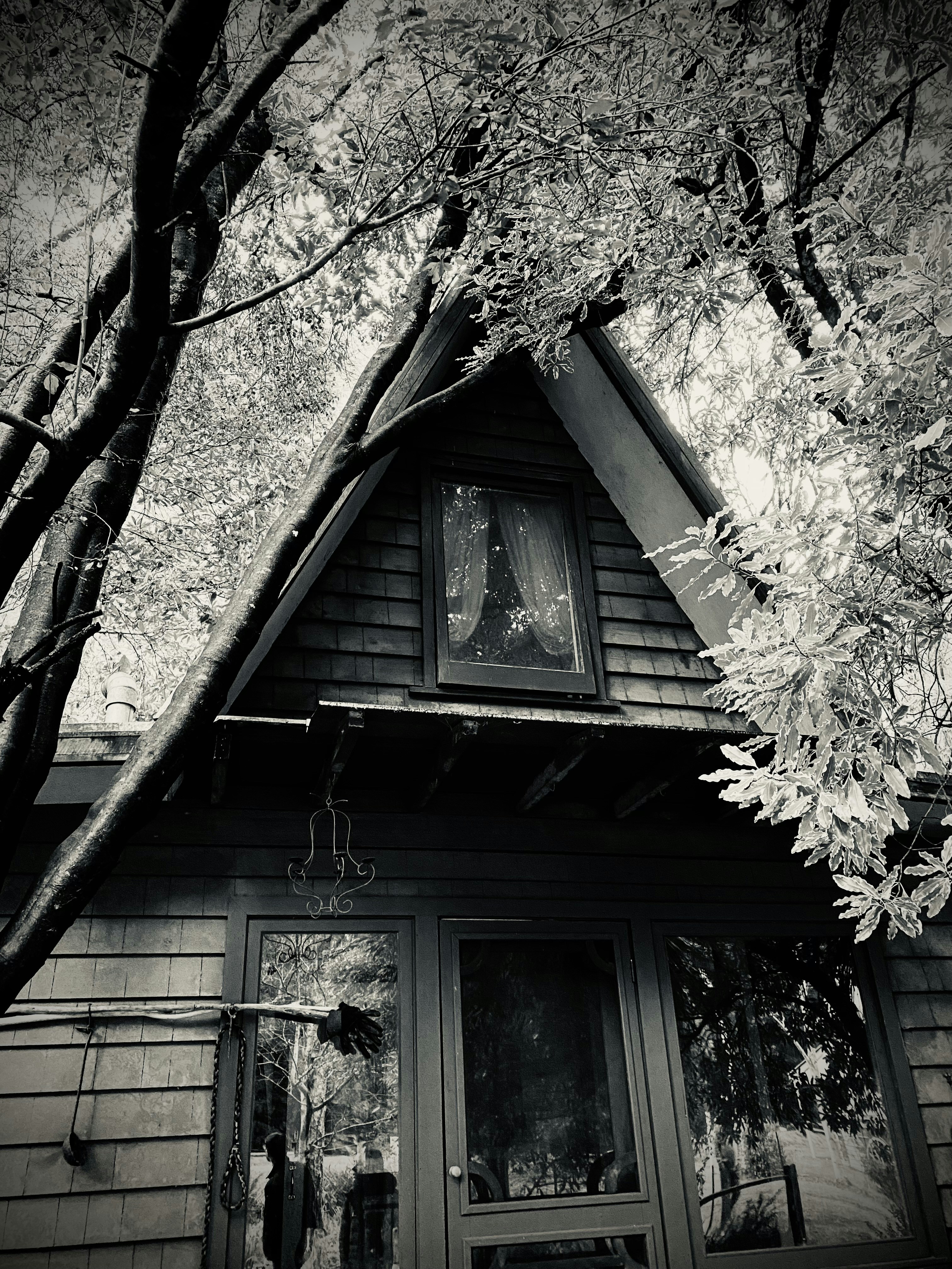 A quaint cabin nestled among trees, featuring a distinct A-frame roof and a window draped with a delicate curtain. The monochrome palette enhances the serene atmosphere.