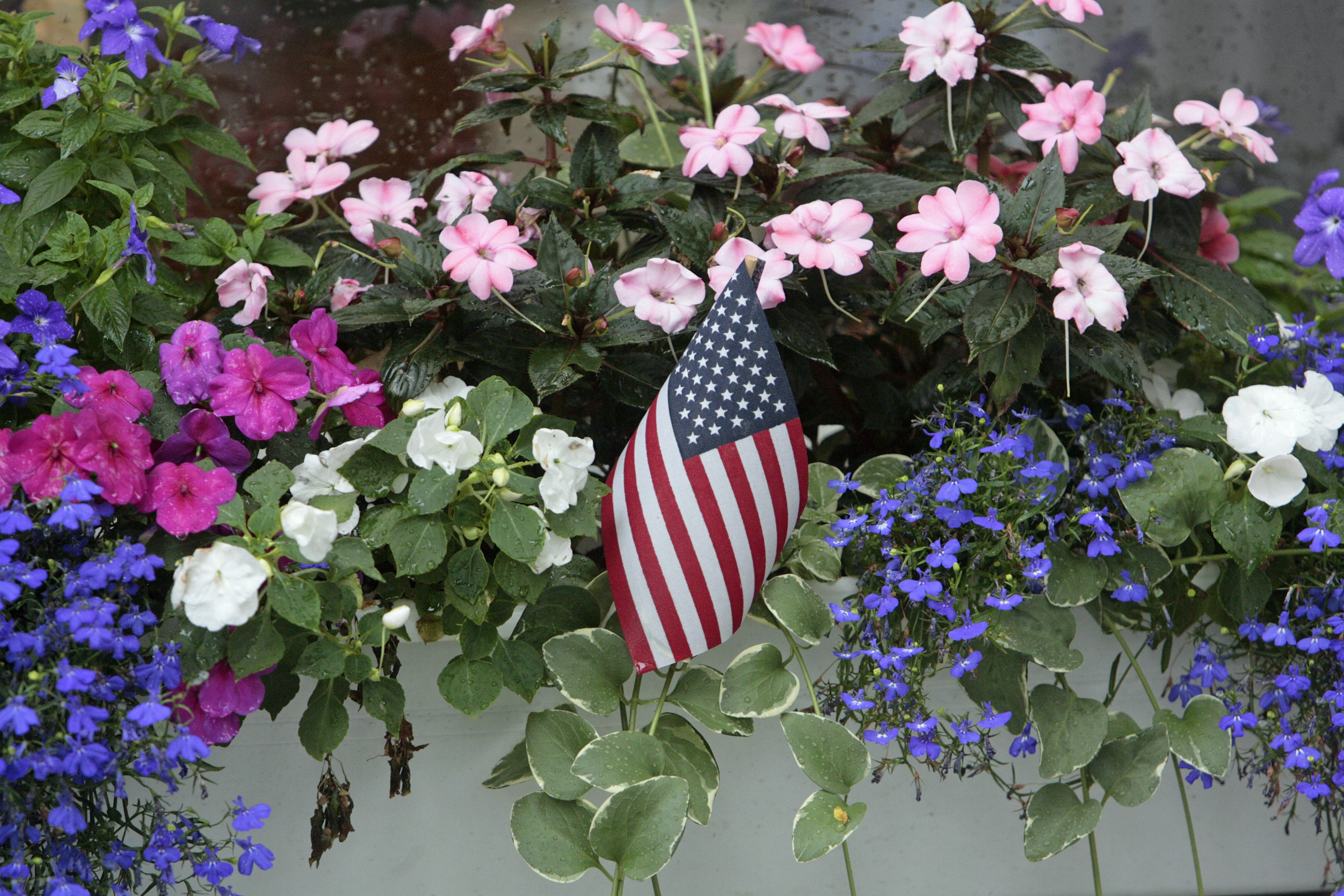 A vibrant arrangement of colorful flowers, including pinks, whites, and blues, complemented by a small American flag nestled among the blooms.