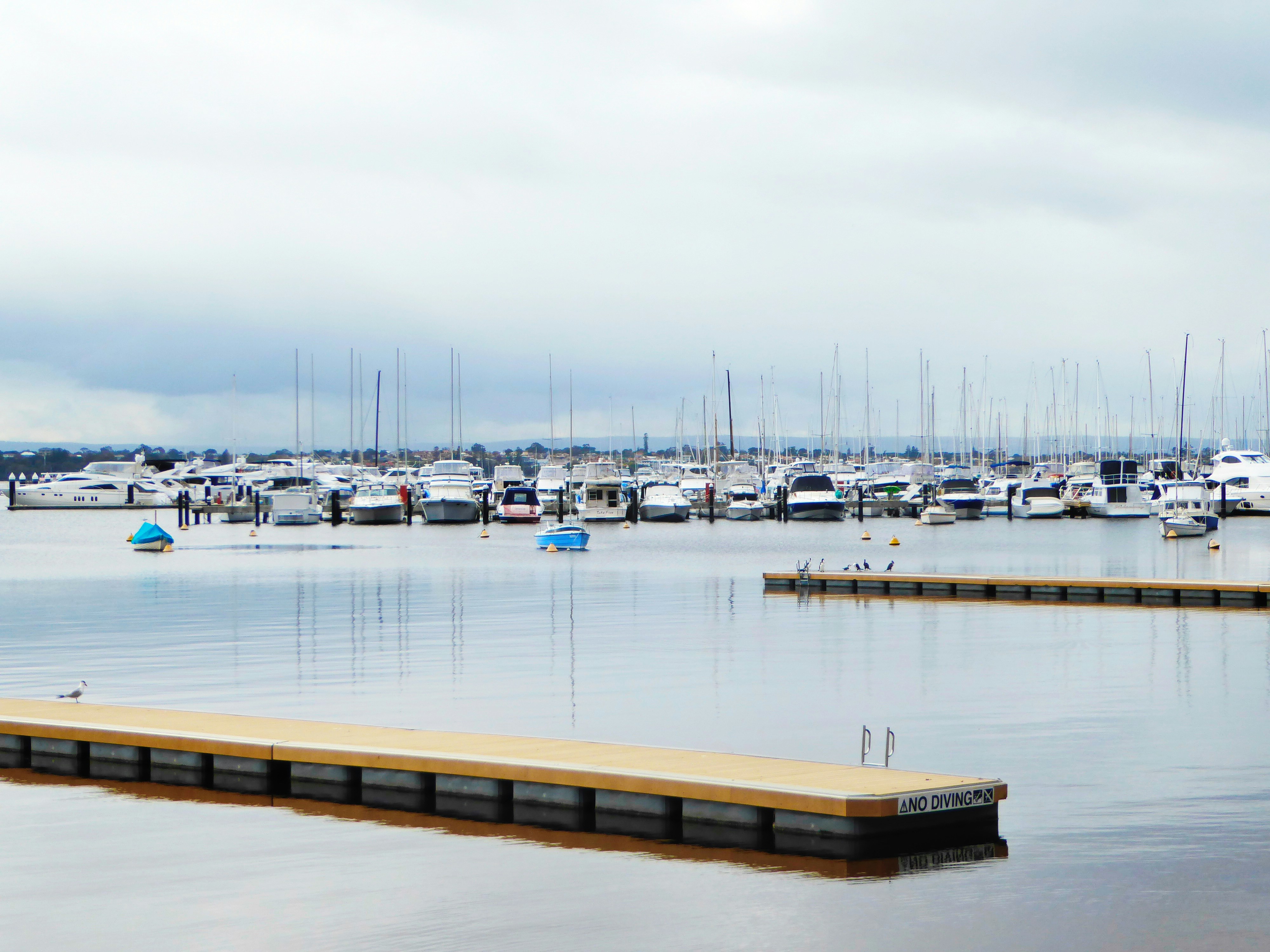 Un quai avec des bateaux dans l’eau photo – Photo L'eau Gratuite sur ...