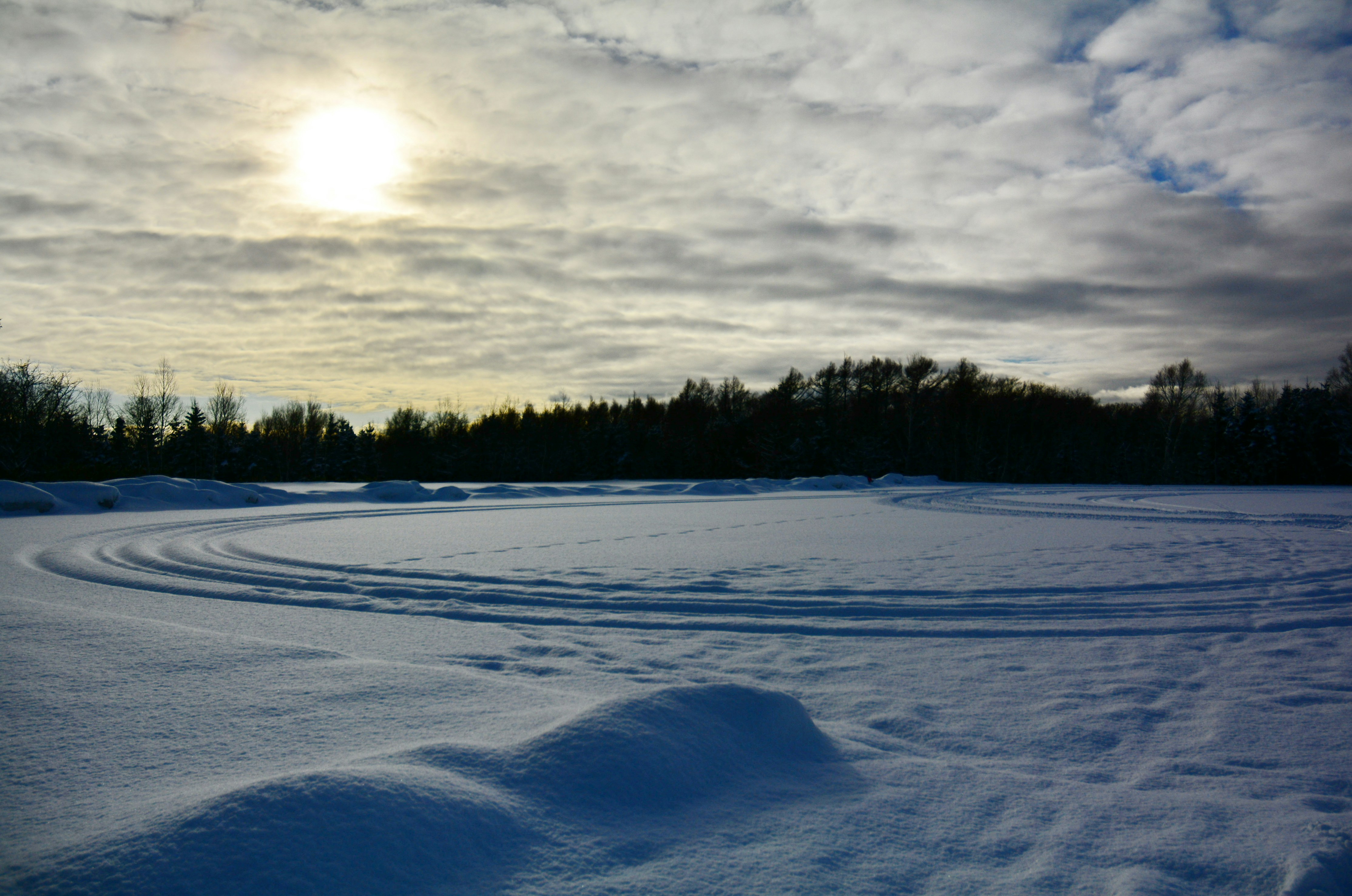 a snowy field with trees in the background