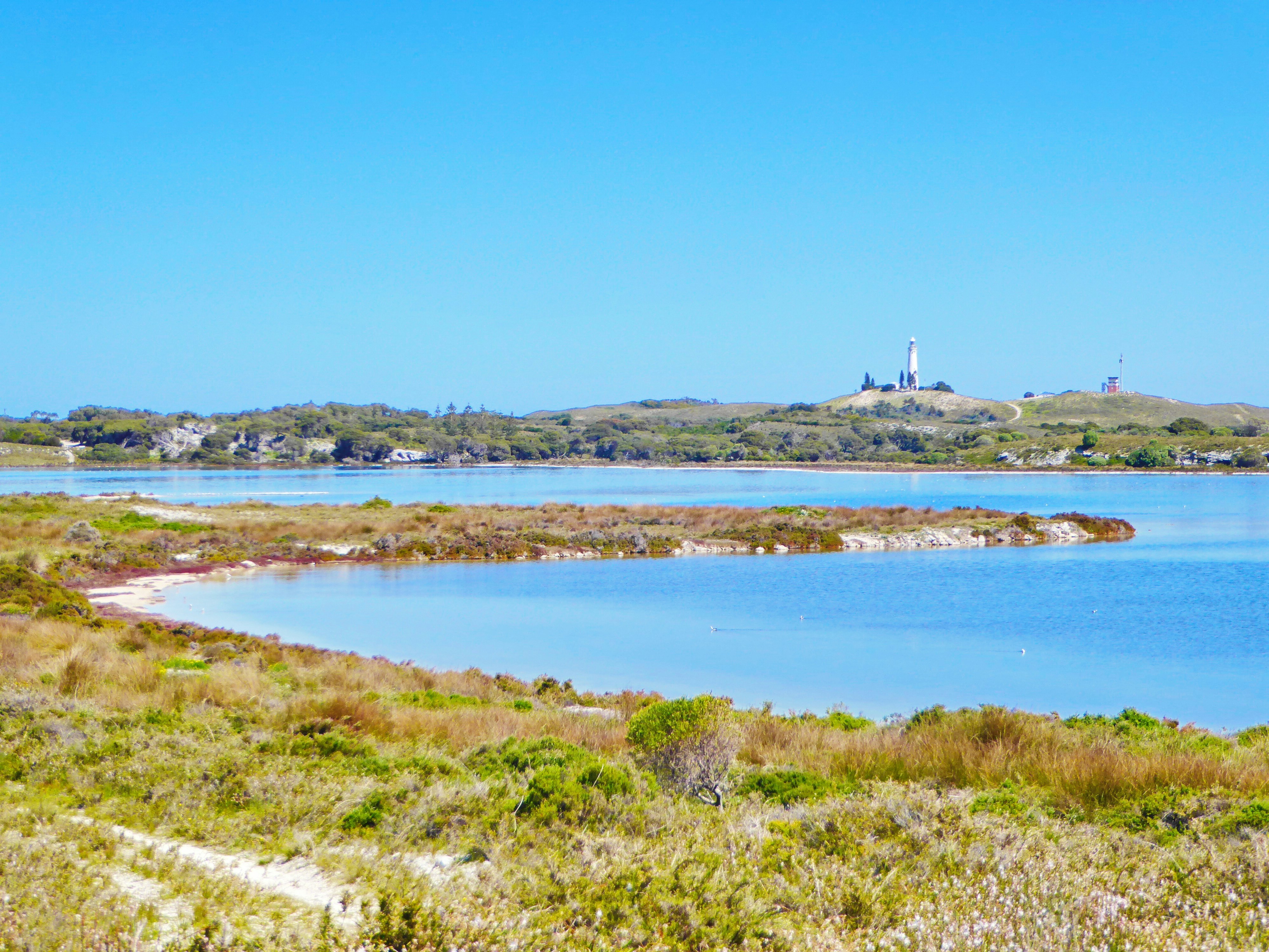 Coastal landscape with a distant lighthouse, calm blue water, and grassy foreground.