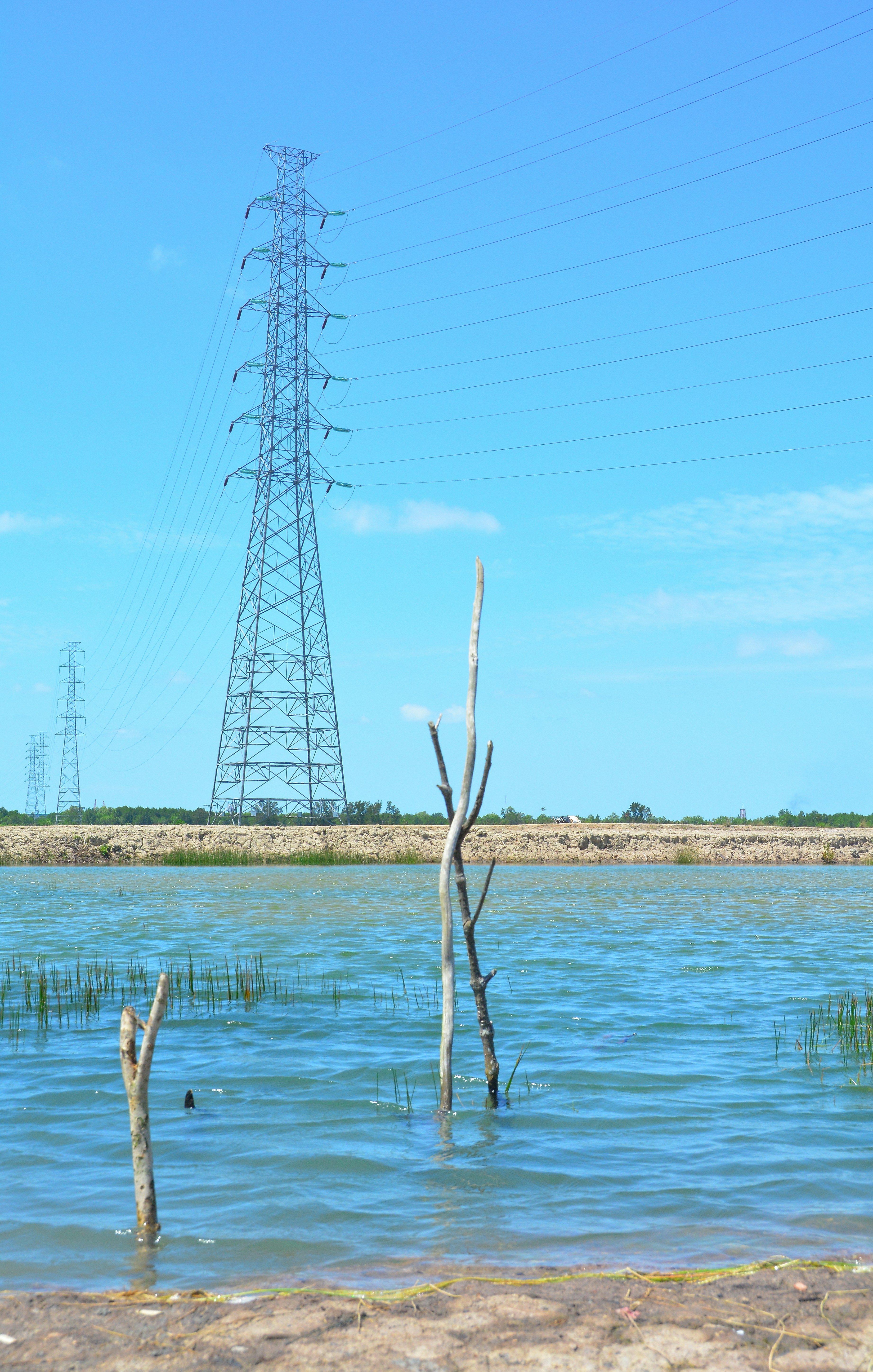 Lattice Skyline: Power Tower Framing a Quiet Lakeshore