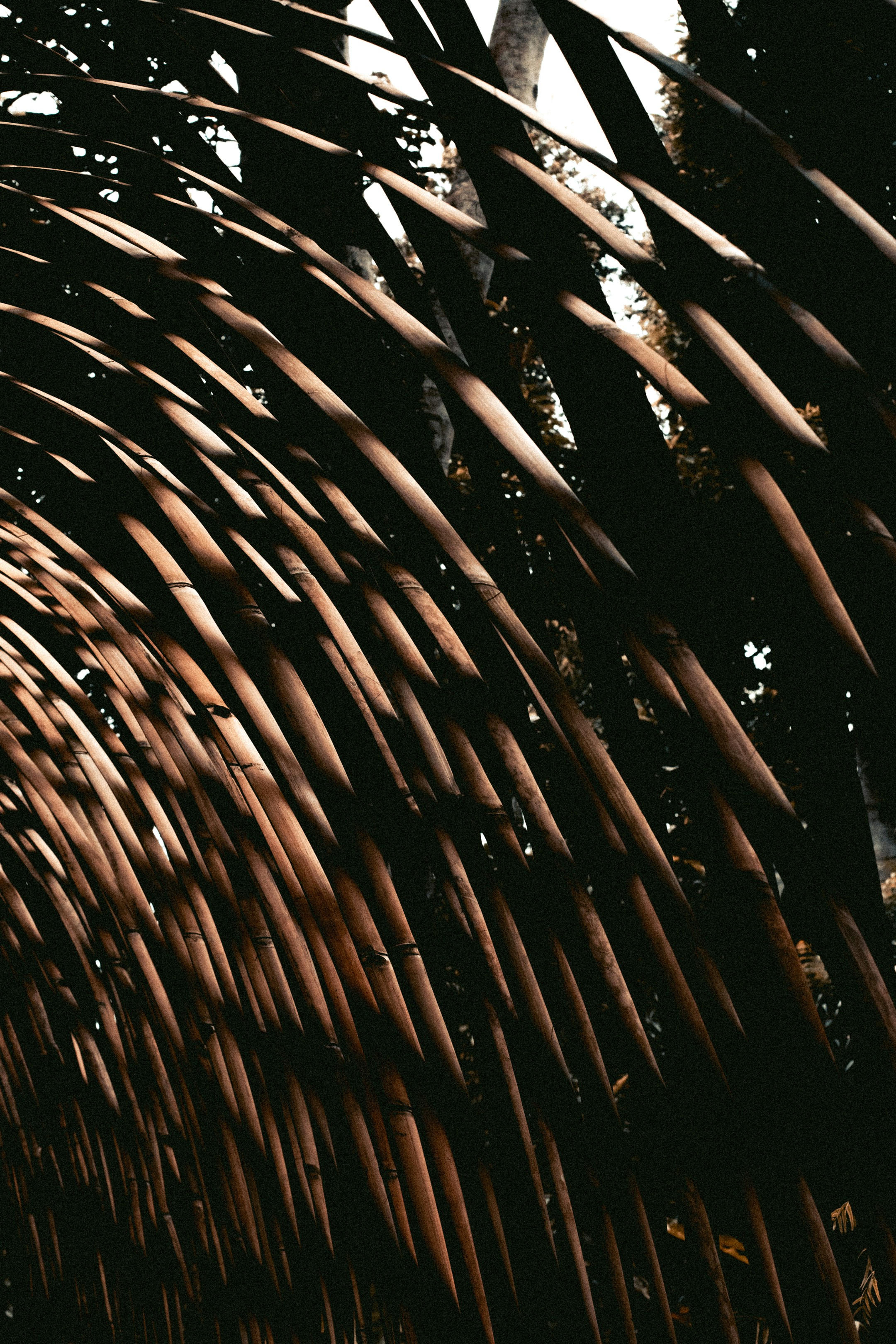 Bayugan, Philippines - all you need to know