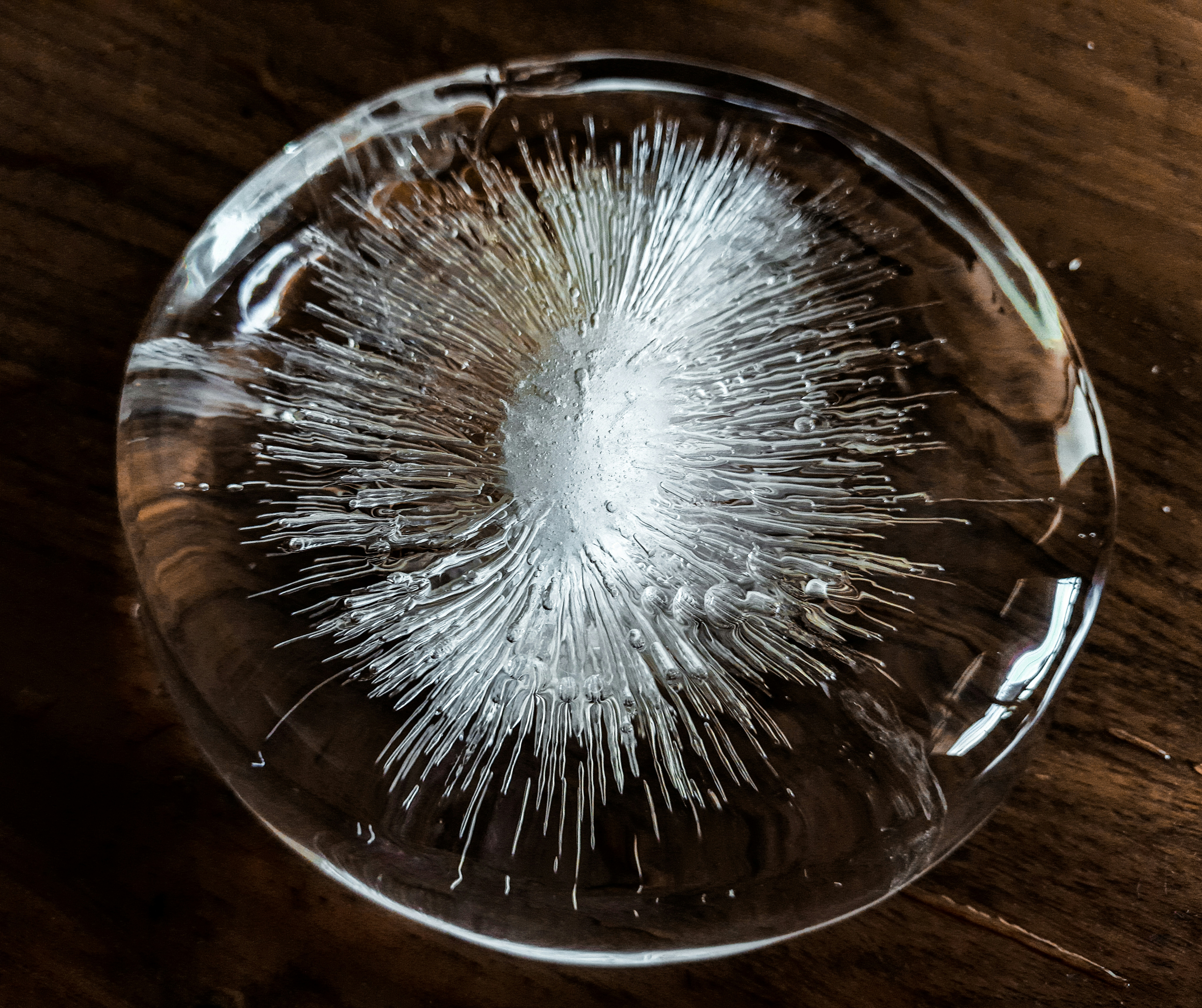 Intricate glass sphere featuring a burst of delicate, crystalline formations radiating from the center, showcasing unique textures and reflections.