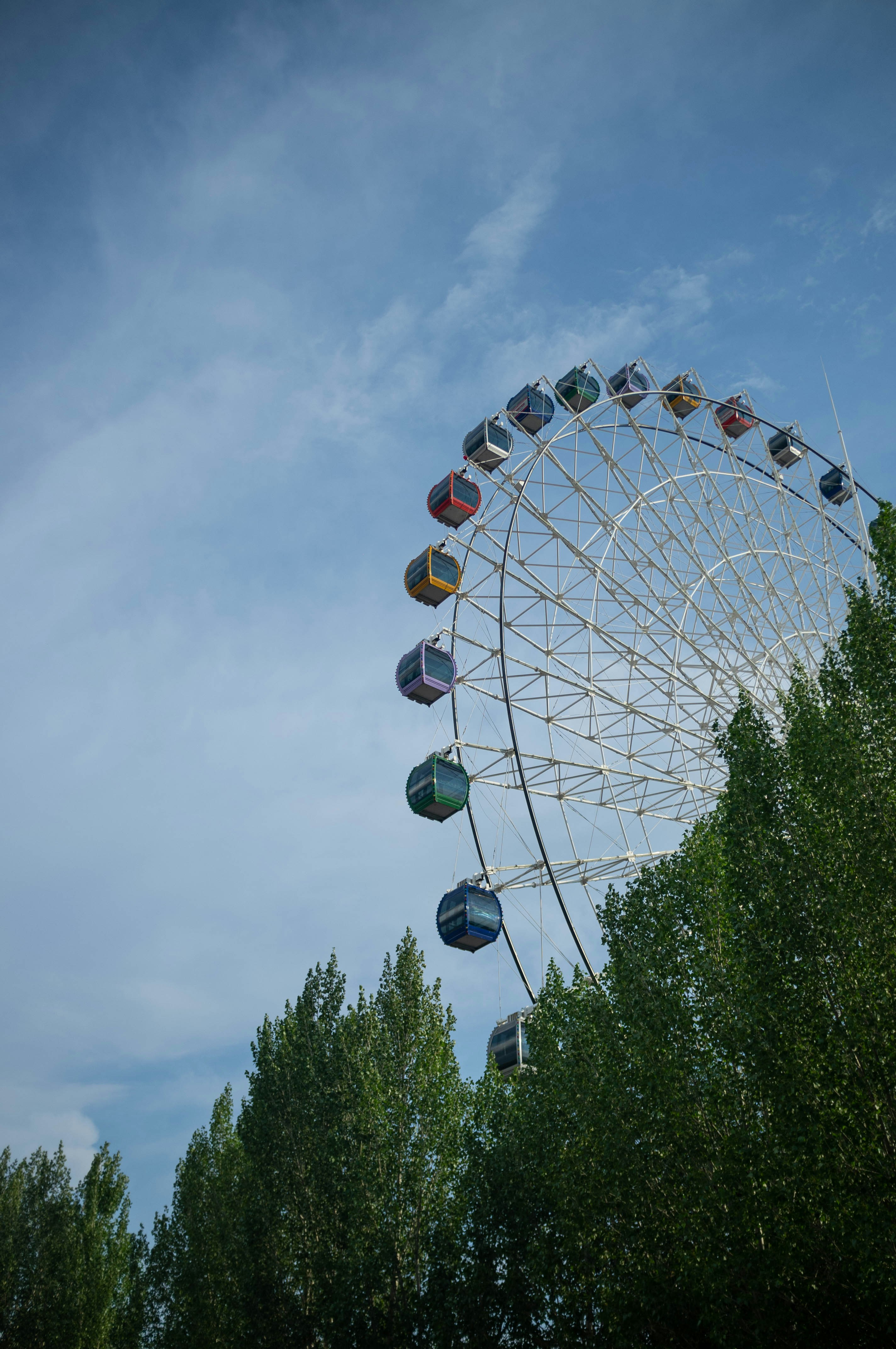 Rainbow Gondolas Arc Across a Blue Sky Behind a Line of Trees