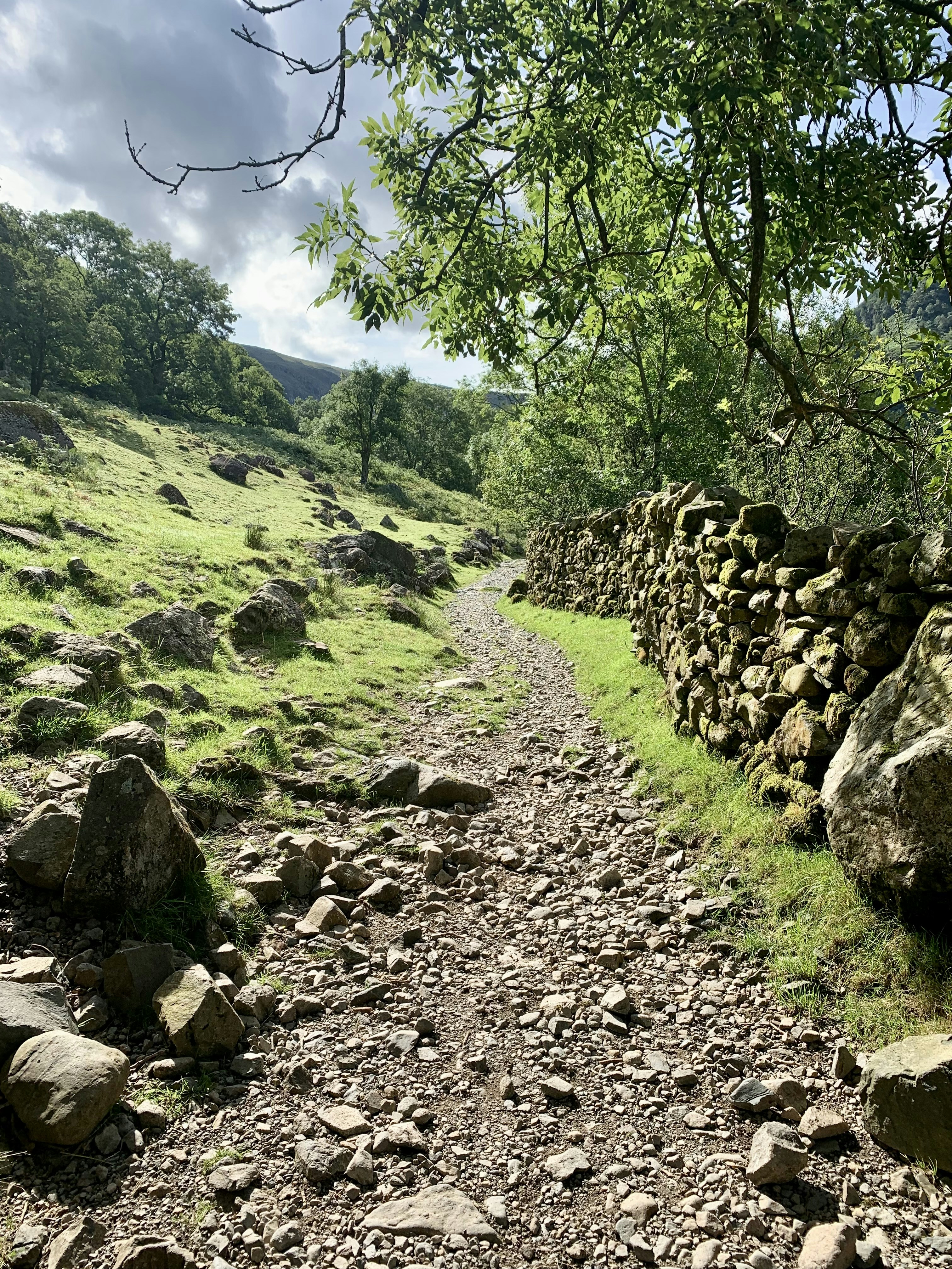 Borrowdale in the Lake District 