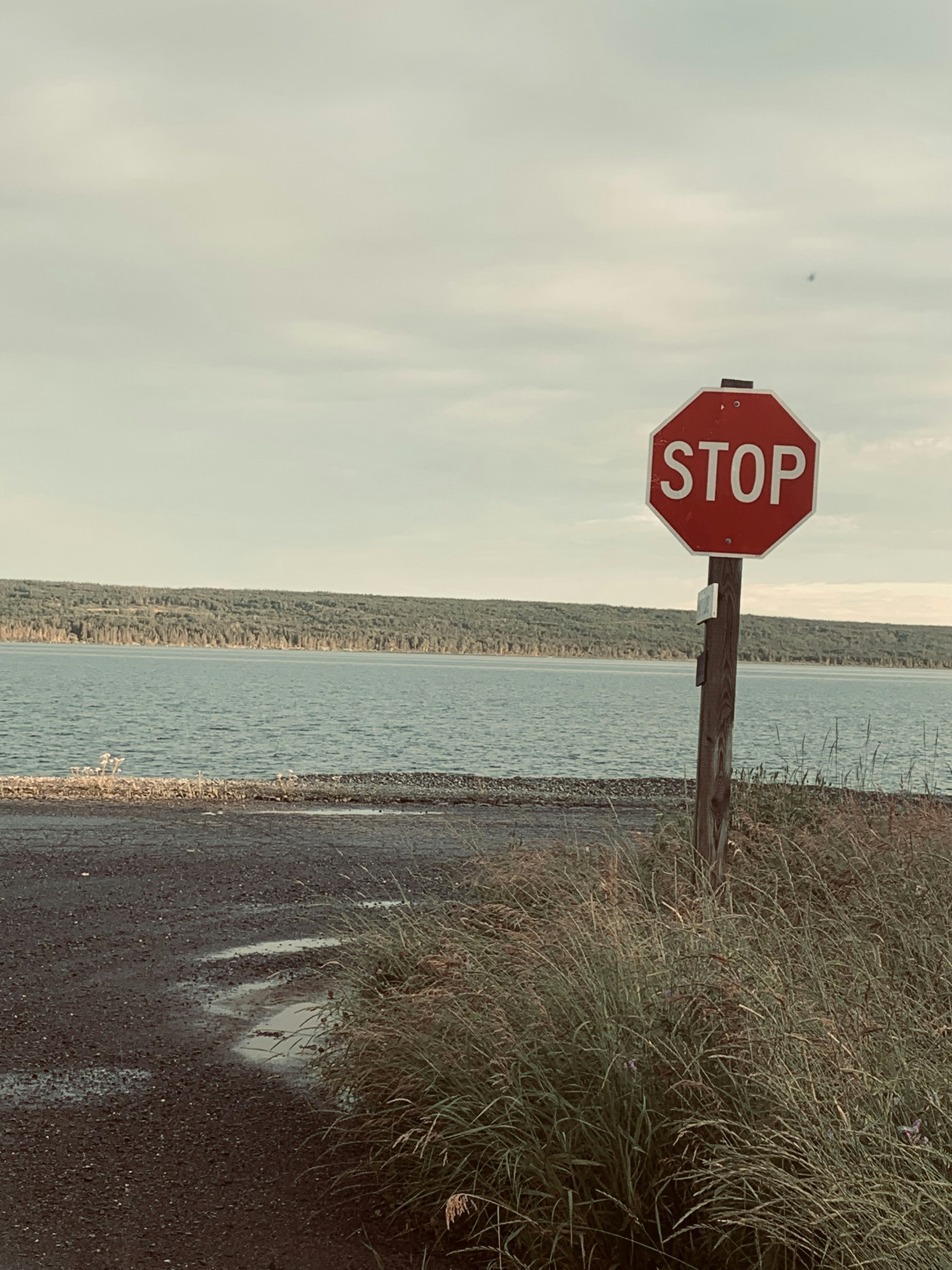 Stop sign positioned near a tranquil body of water, with lush grass framing the scene. The calm landscape invites reflection.