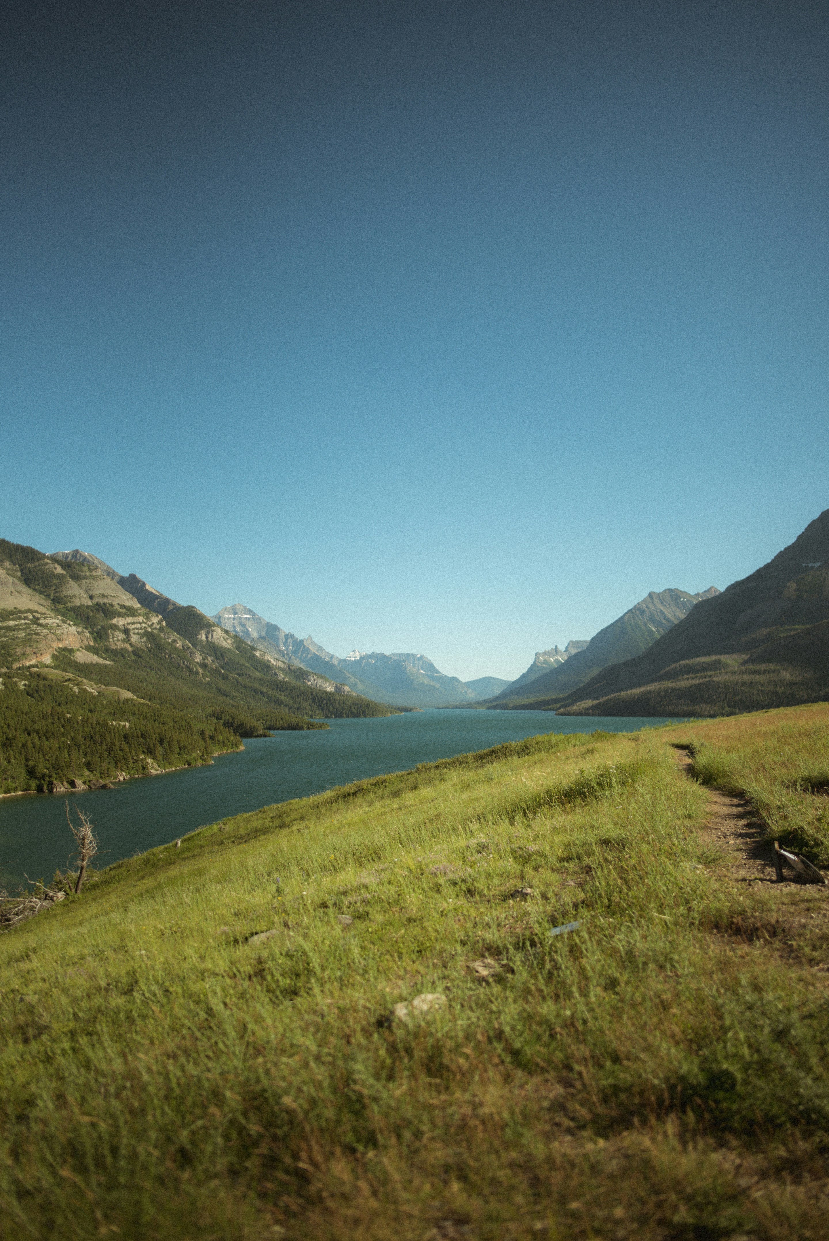Valley Path Toward the Snowcaps