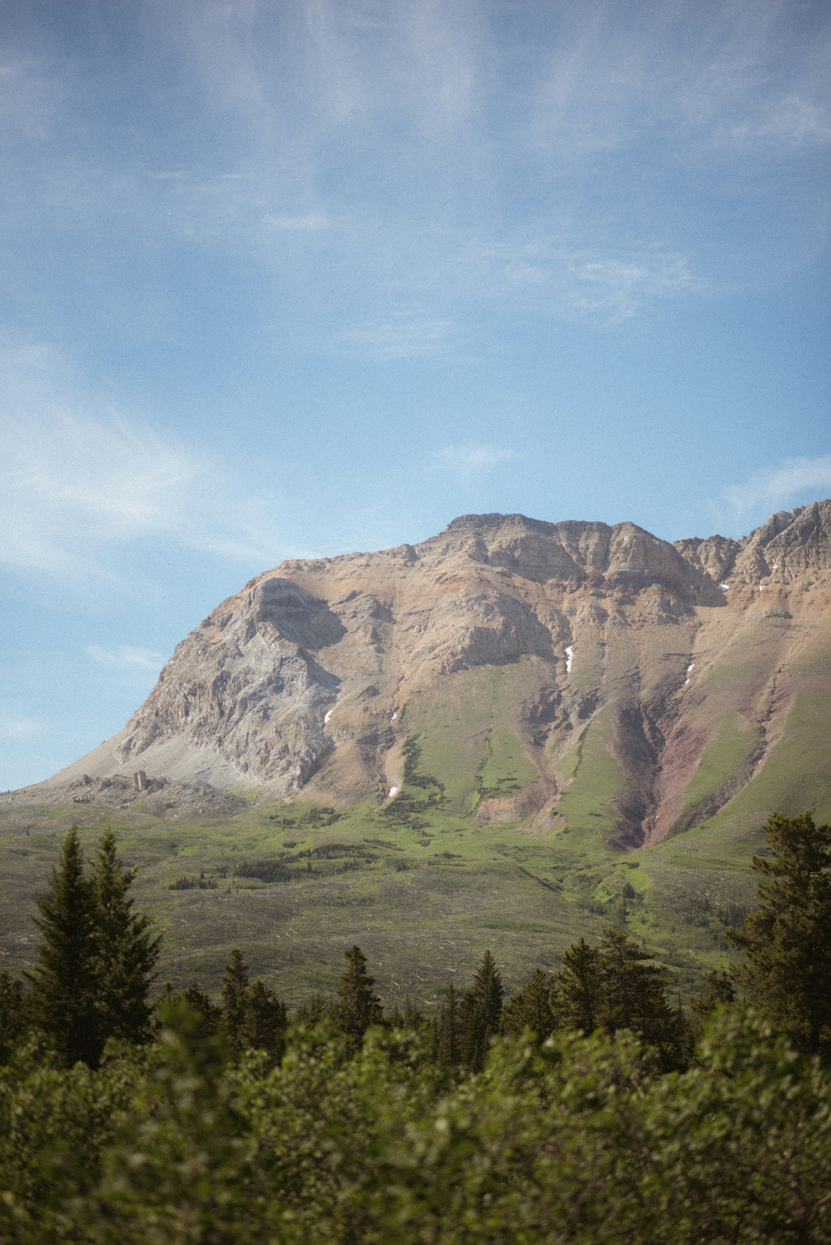 a mountain with trees below