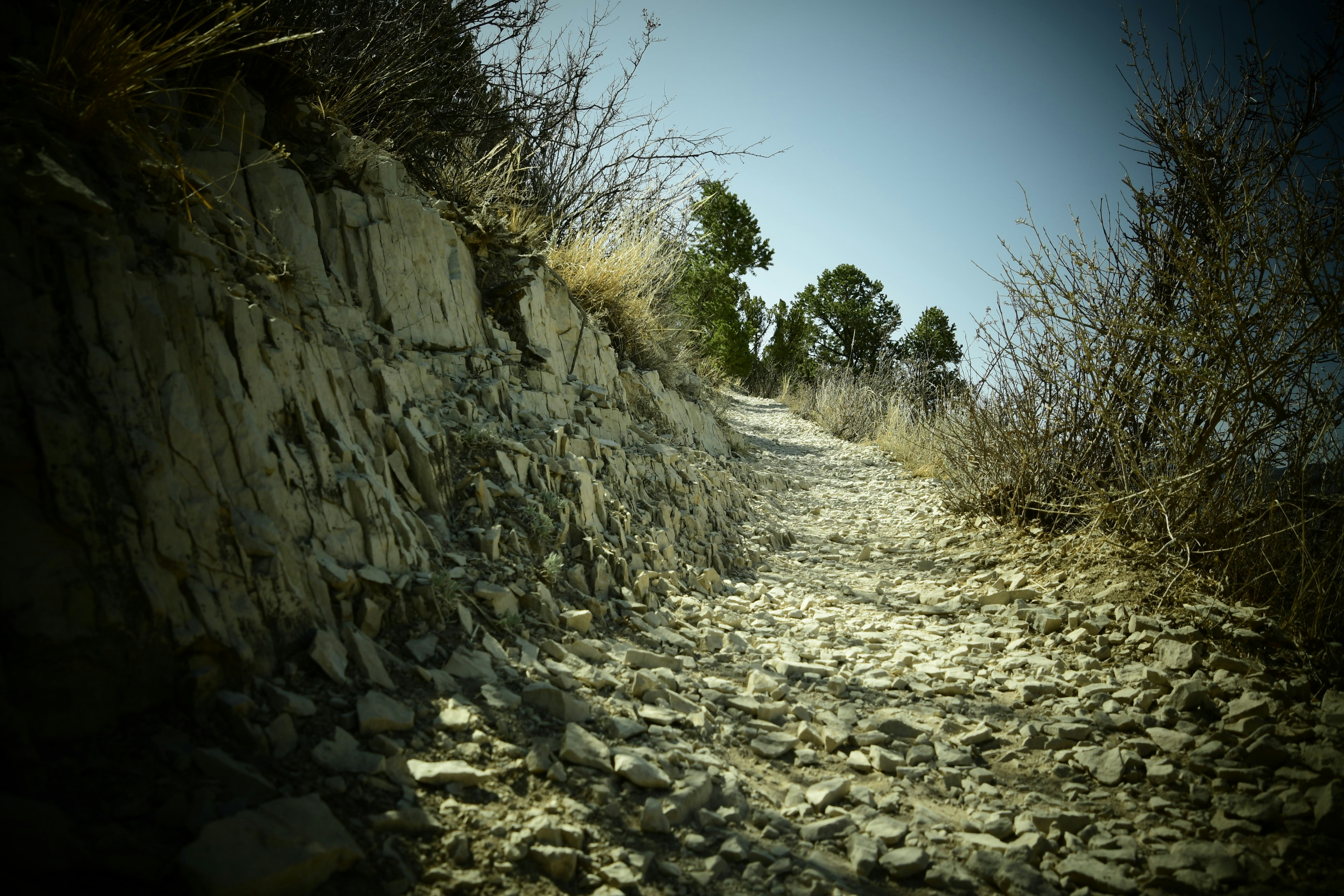 A rocky path with trees on the side photo – Free Colorado springs Image ...