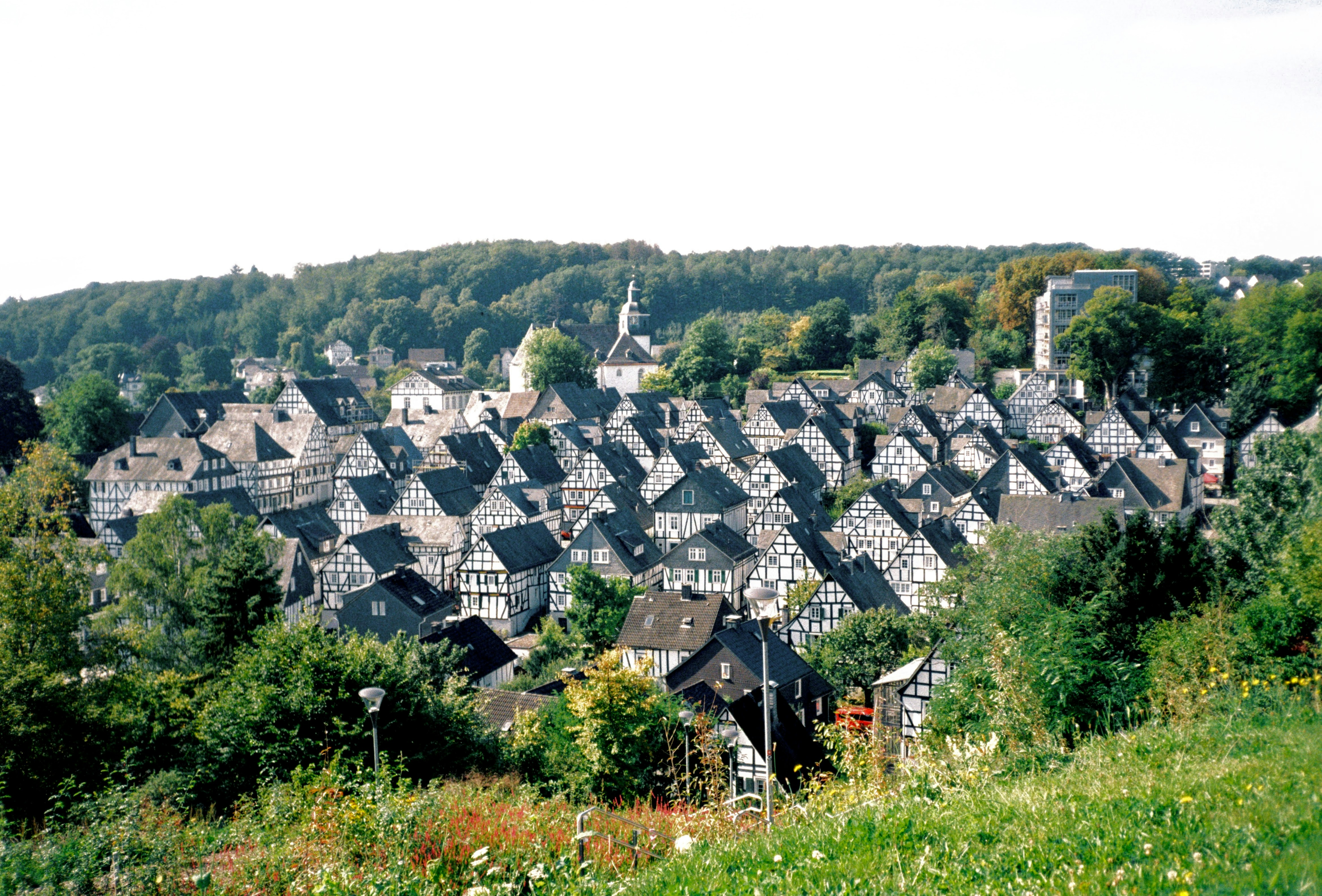 A group of houses in a wooded area photo – Free Freudenberg Image on ...